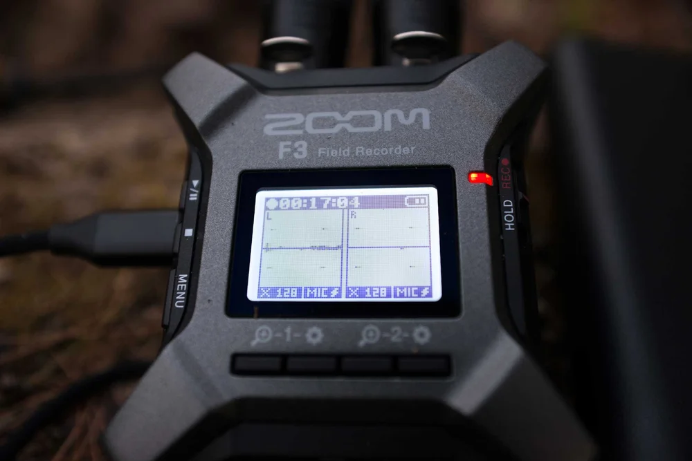 How To Record Nature Sounds: The Ultimate Guide — Acoustic Nature