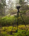 Best Microphone for Recording Nature Sounds (Ultimate Guide) — Acoustic ...