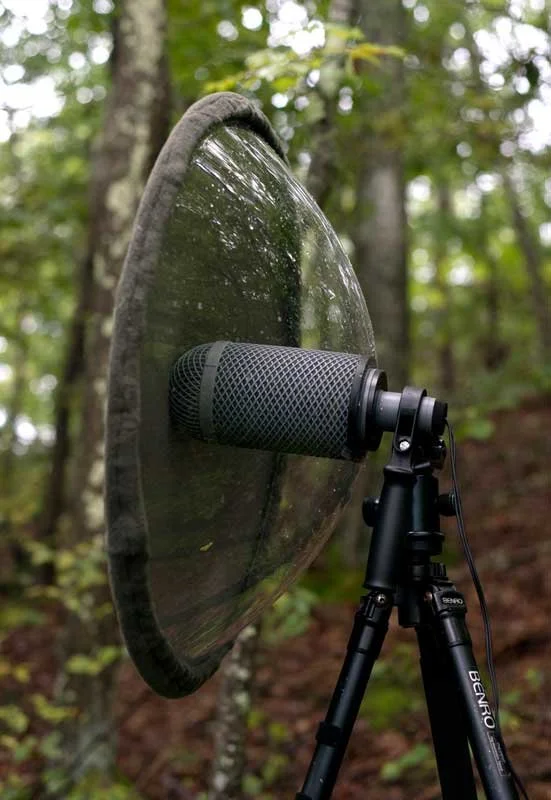 Telinga Modular Parabolic Microphone Review — Acoustic Nature