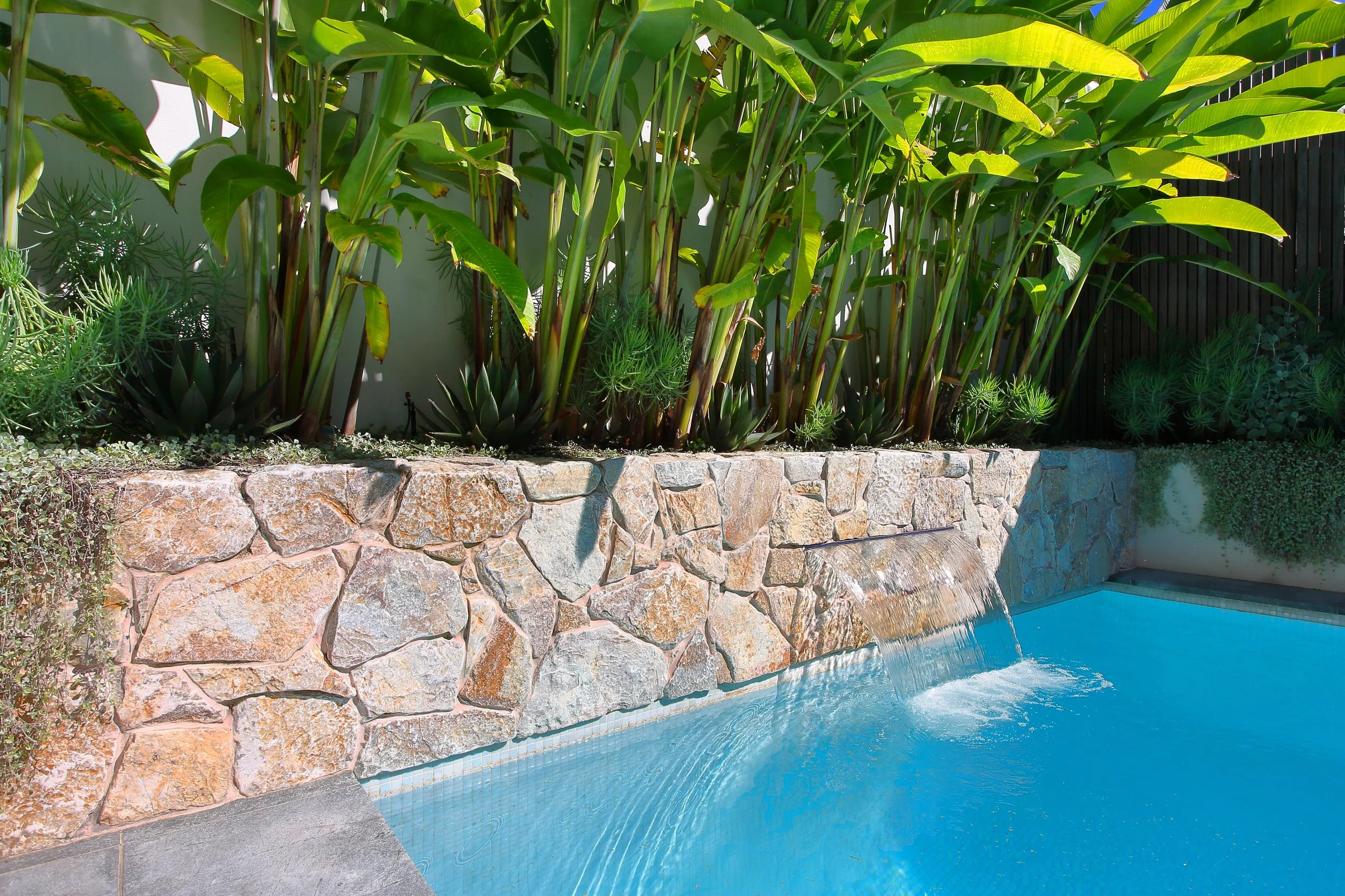Malibu Pools & Spas - Greystanes inground pool — Malibu Pools