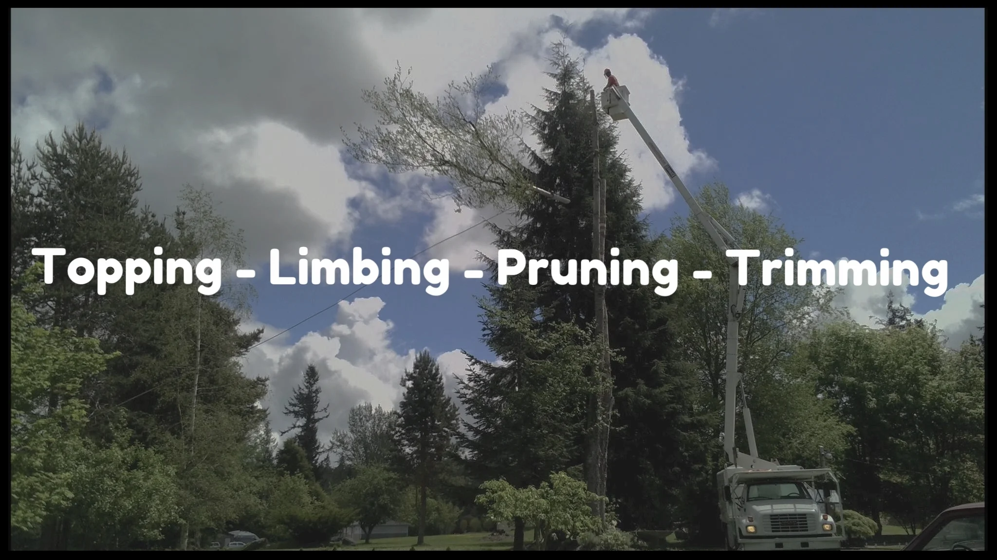 Out On A Limb Tree Service
