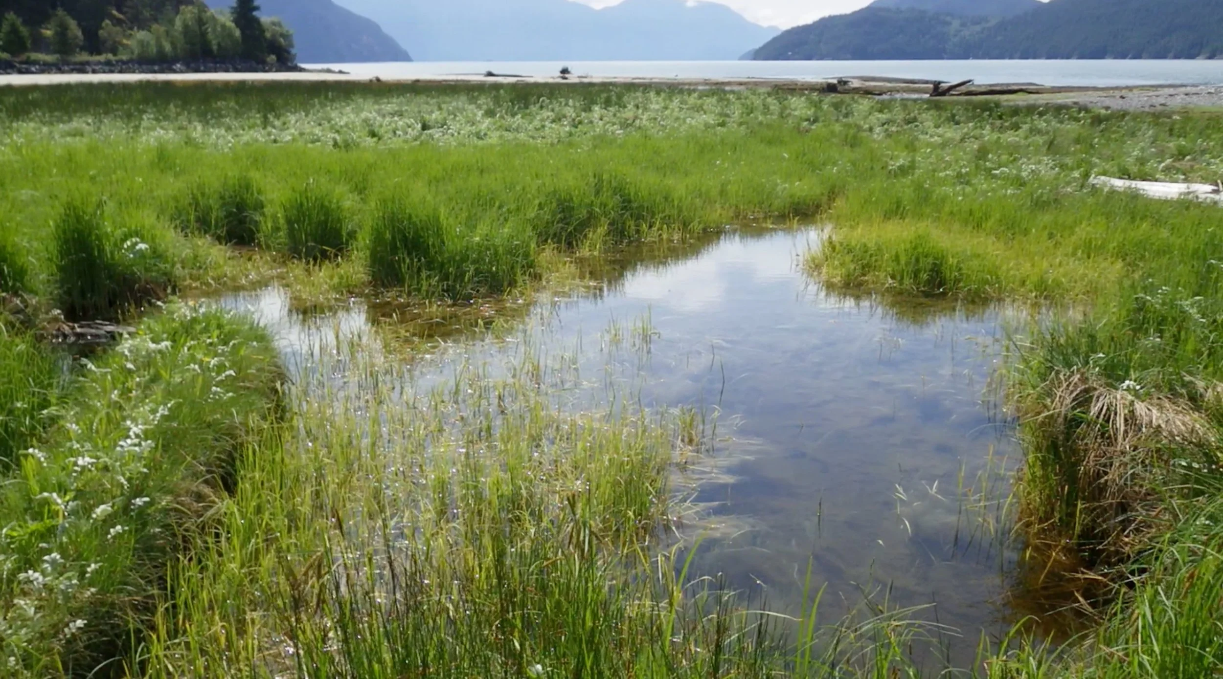 Nchu’ú7mut/Unity Plan Management Plan — Howe Sound Biosphere Region