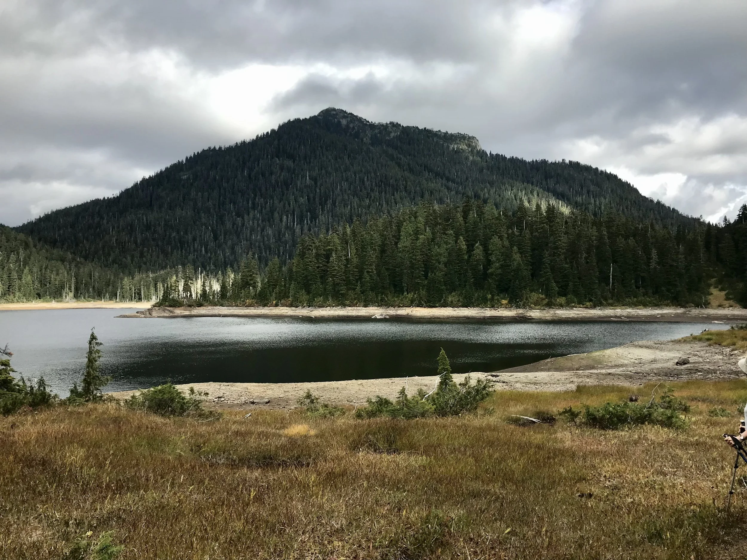 Biodiversity & Habitat Conservation — Howe Sound Biosphere Region