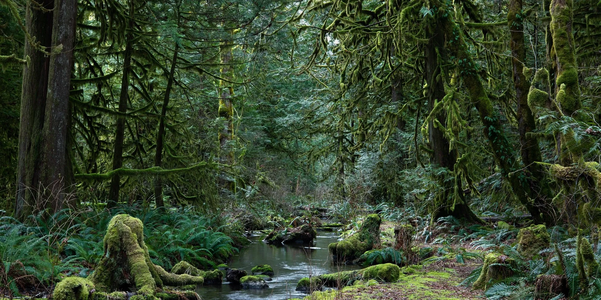 Goals for Biodiversity Conservation — Howe Sound Biosphere Region