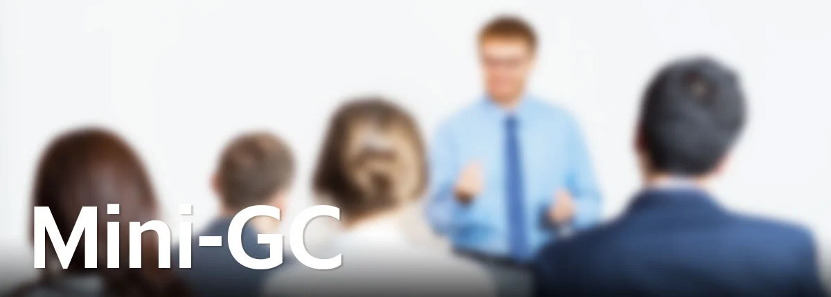 Mini-GC — GrabDriverTH