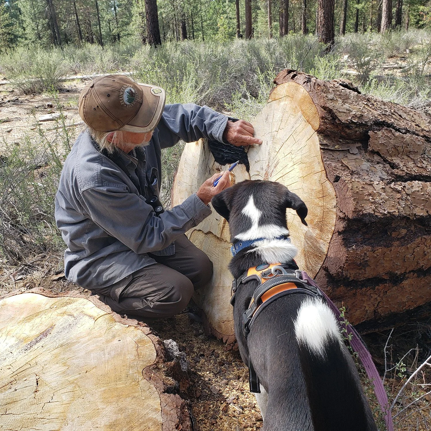 Guys Gulch Ecological Reserve, CA — Center for Ecodynamic Restoration ...