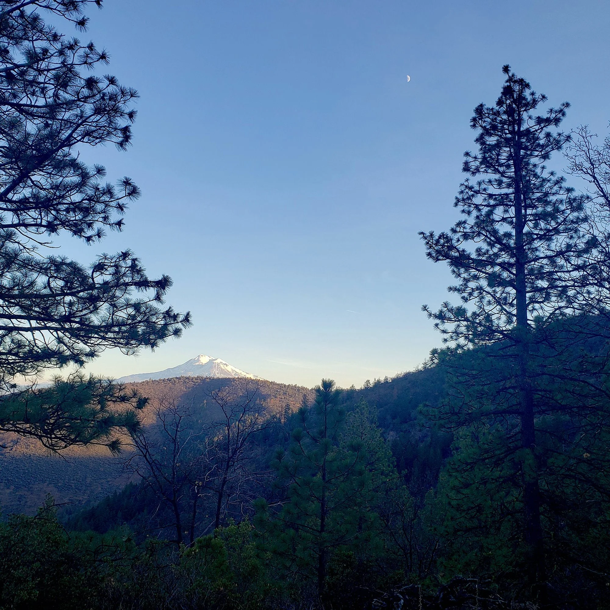 Guys Gulch Ecological Reserve, CA — Center for Ecodynamic Restoration ...