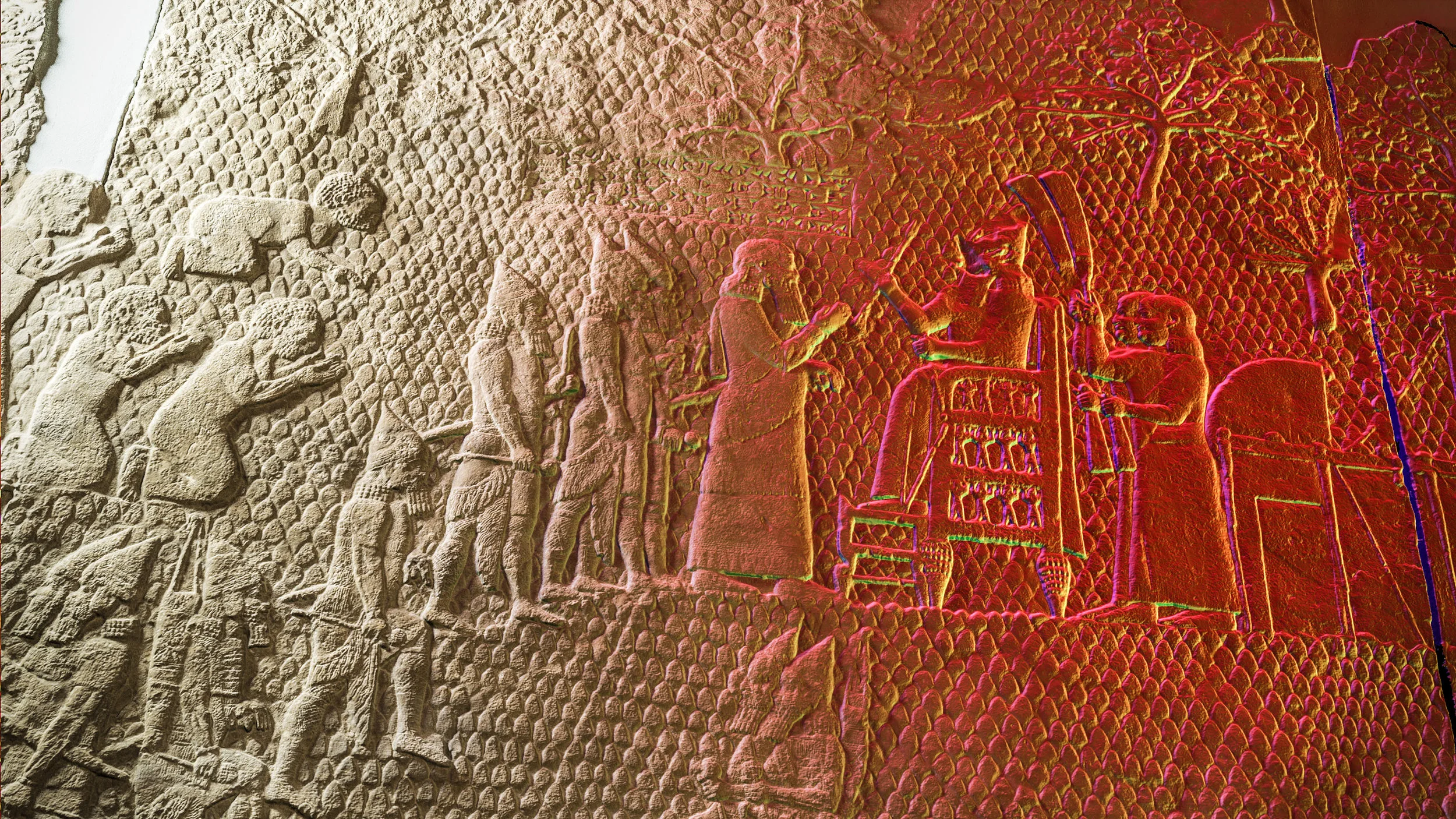 Heritage — Ross Davison