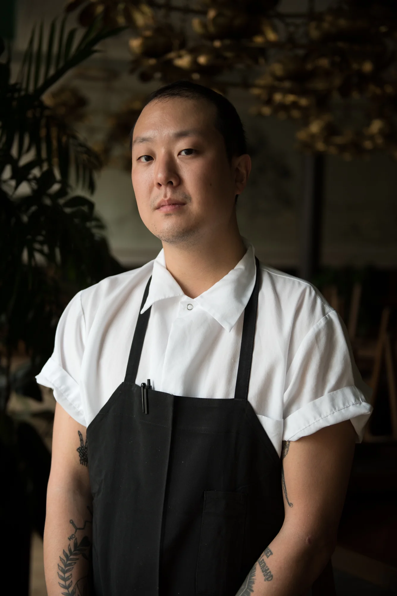 Portraits — Rosa Furneaux