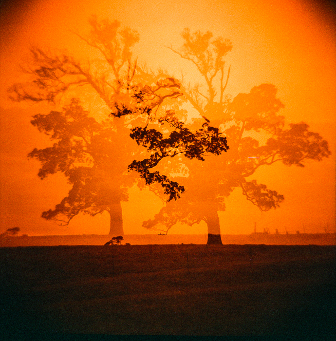 Filmy Goodness — Patrick Boland Photographer