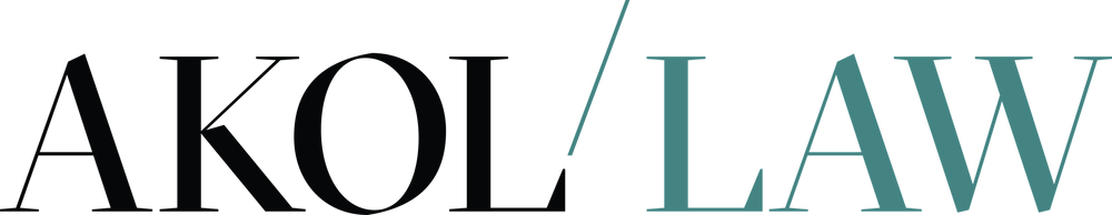 What We Do — Akol Law