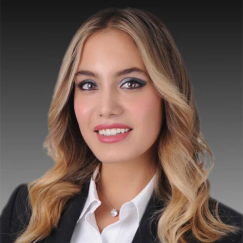 Our Team — Akol Law