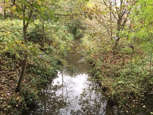 Animal Friendly — Headingley Leeds