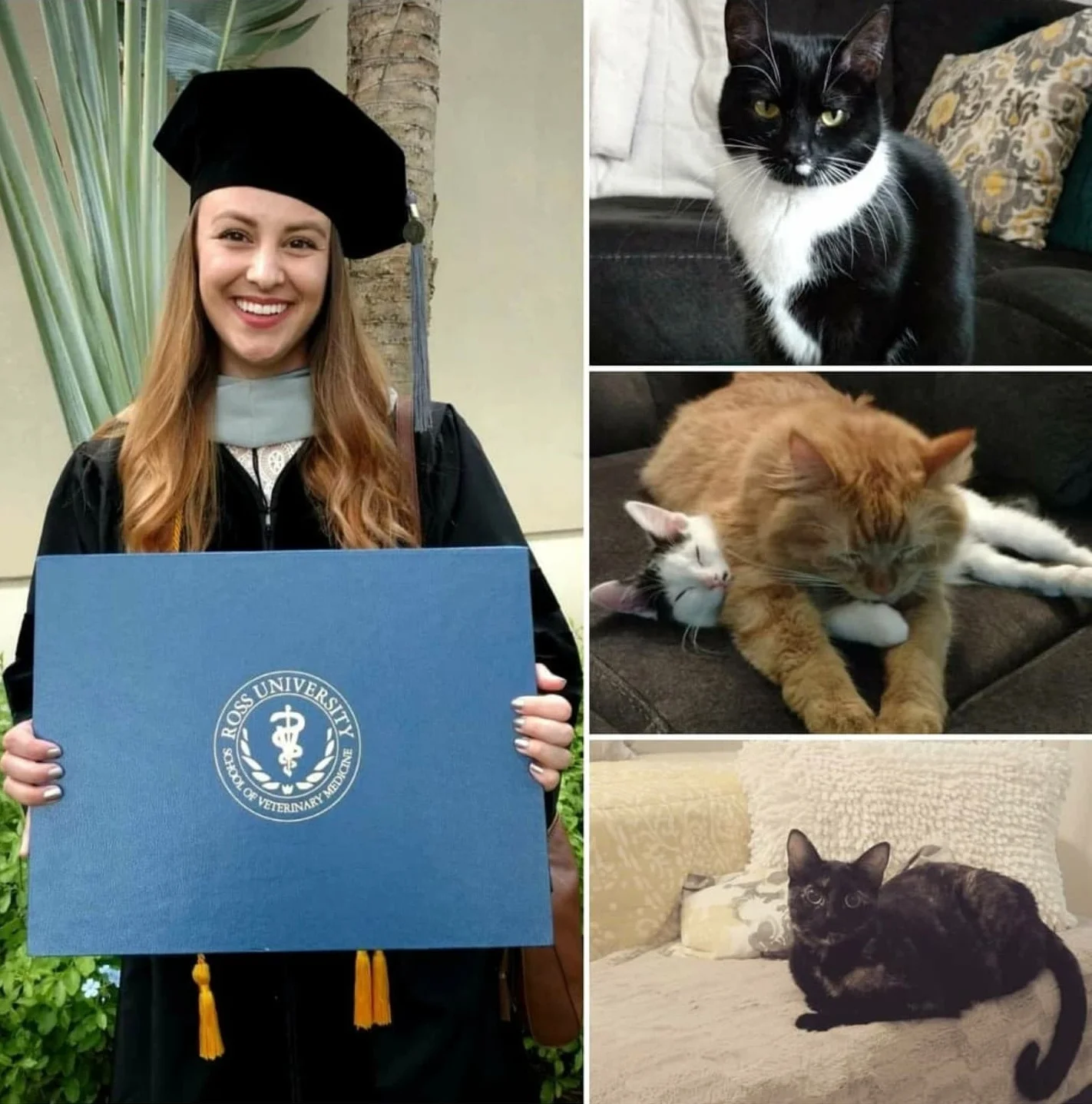 Our Practice — Rescued Heart Animal Hospital