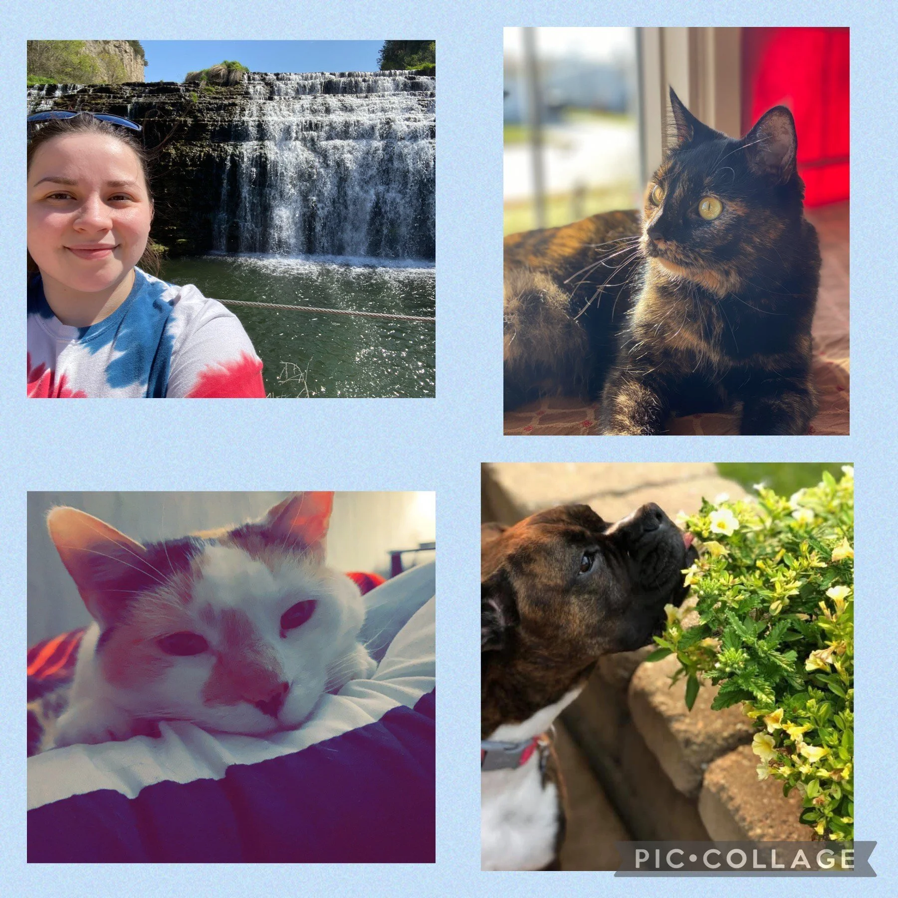 Our Team — Rescued Heart Animal Hospital