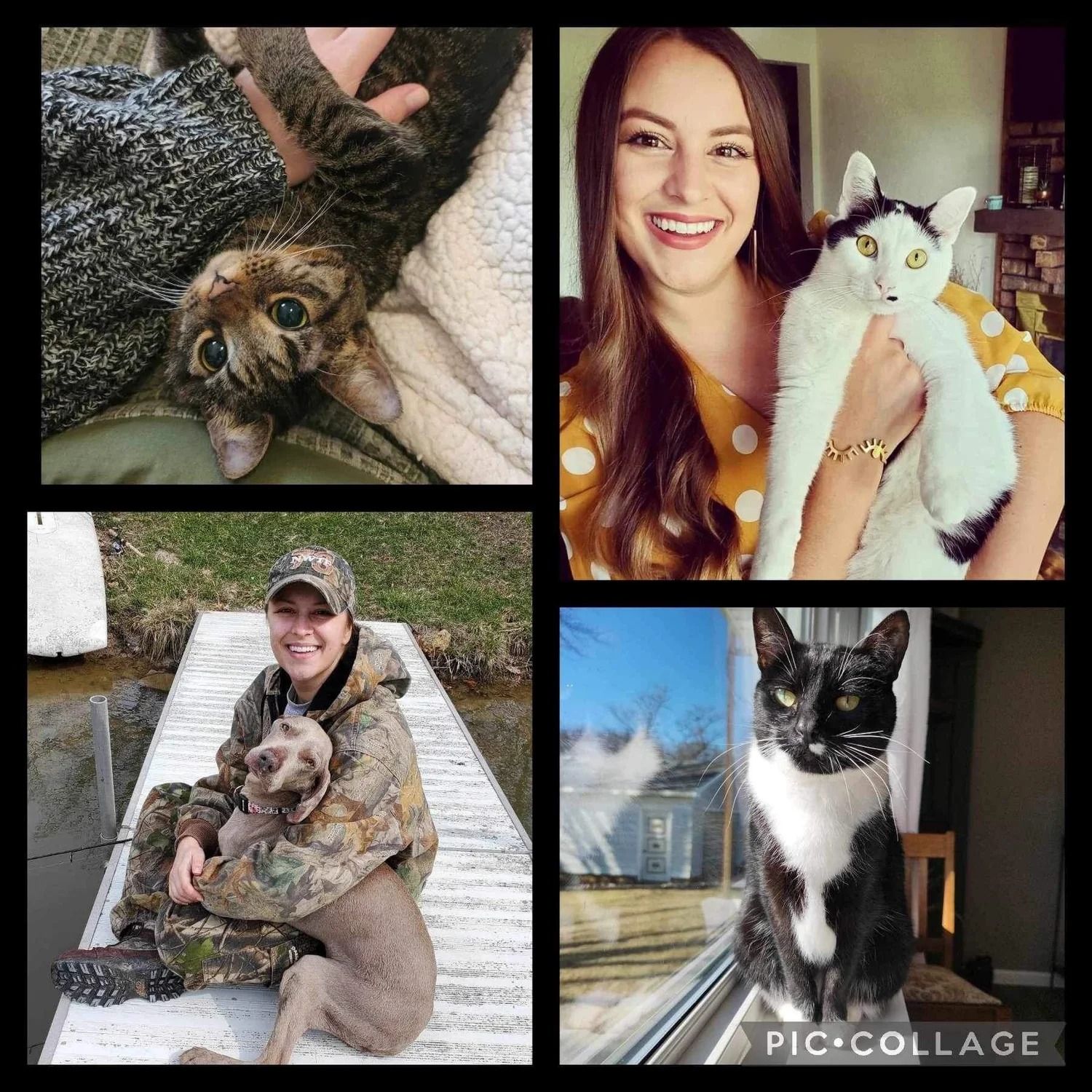 Our Practice — Rescued Heart Animal Hospital