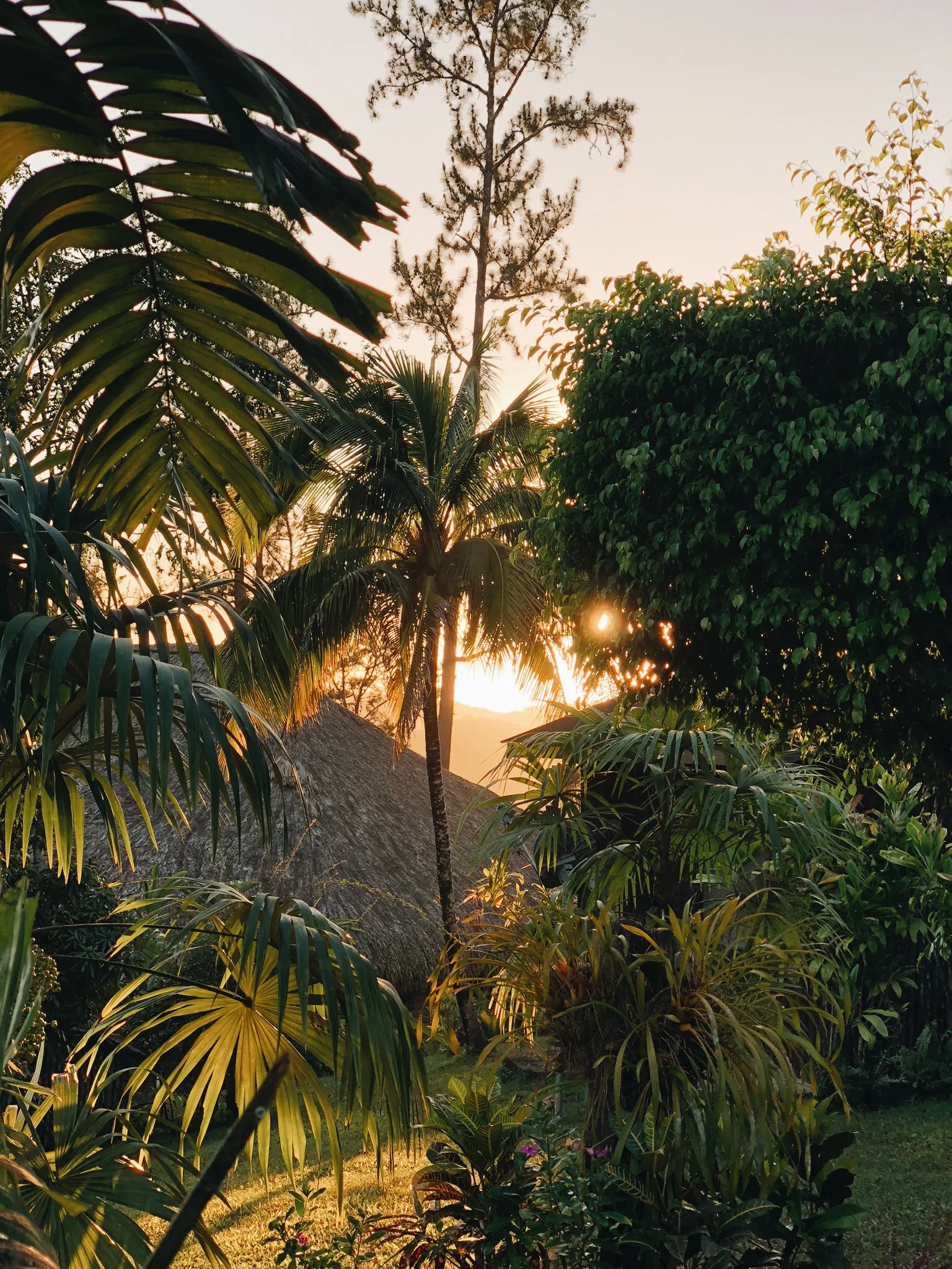 Belize Travel Guide Matachica Resort Spa GA A Riverlodge Belize Travel Guide Matachica Resort Spa GA A Riverlodge