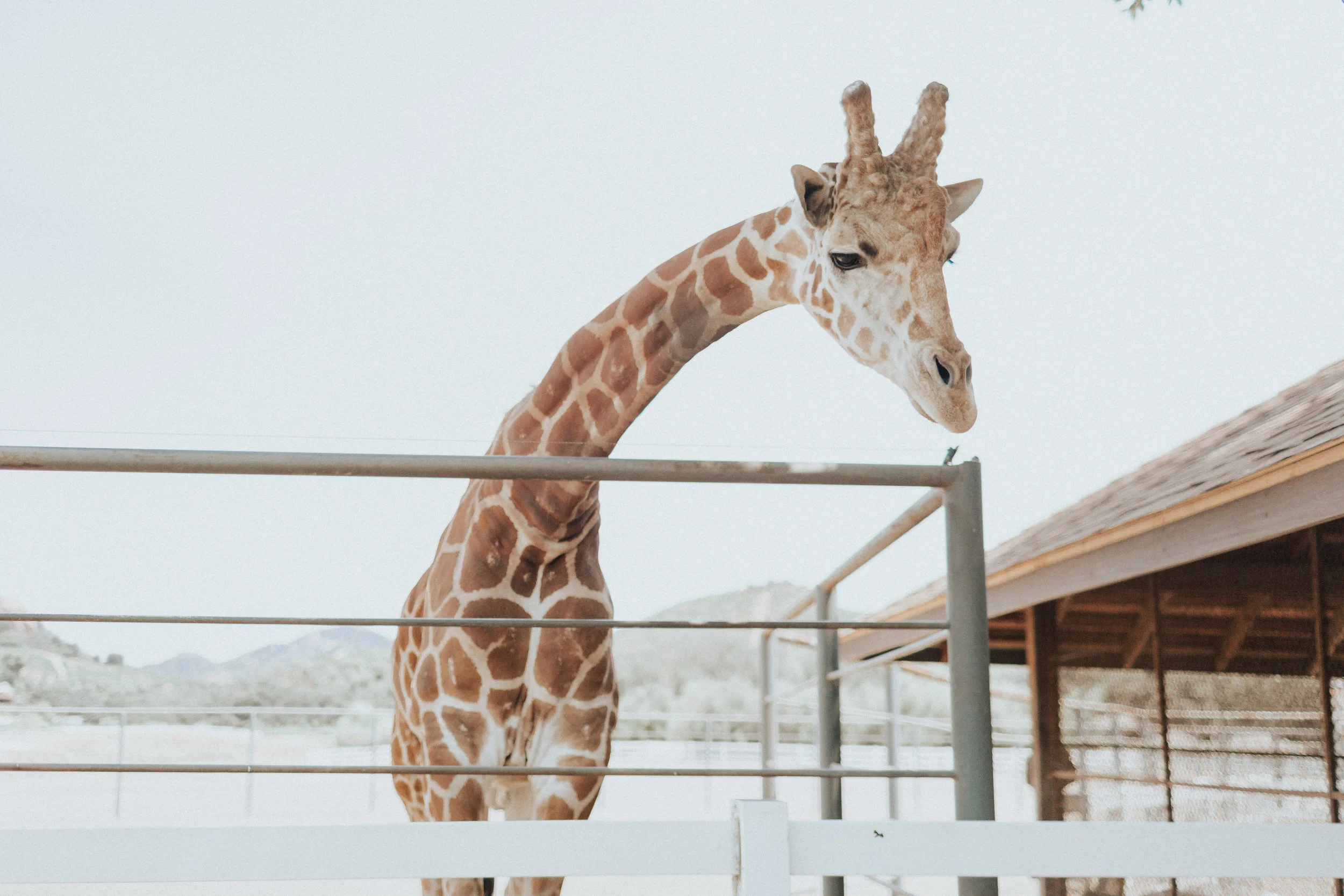 Local Guide: A Weekend in Malibu — Everyday Pursuits