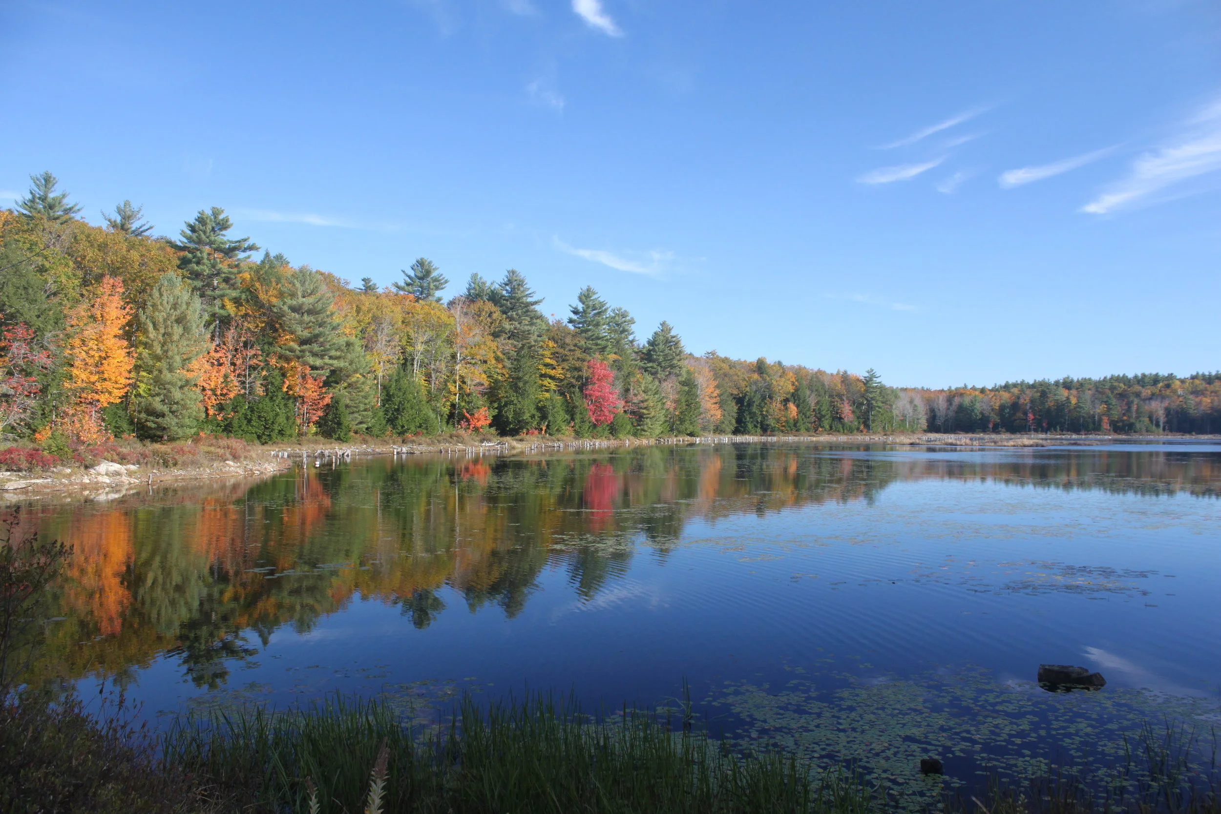 Knight's Pond Preserve — Chebeague & Cumberland Land Trust