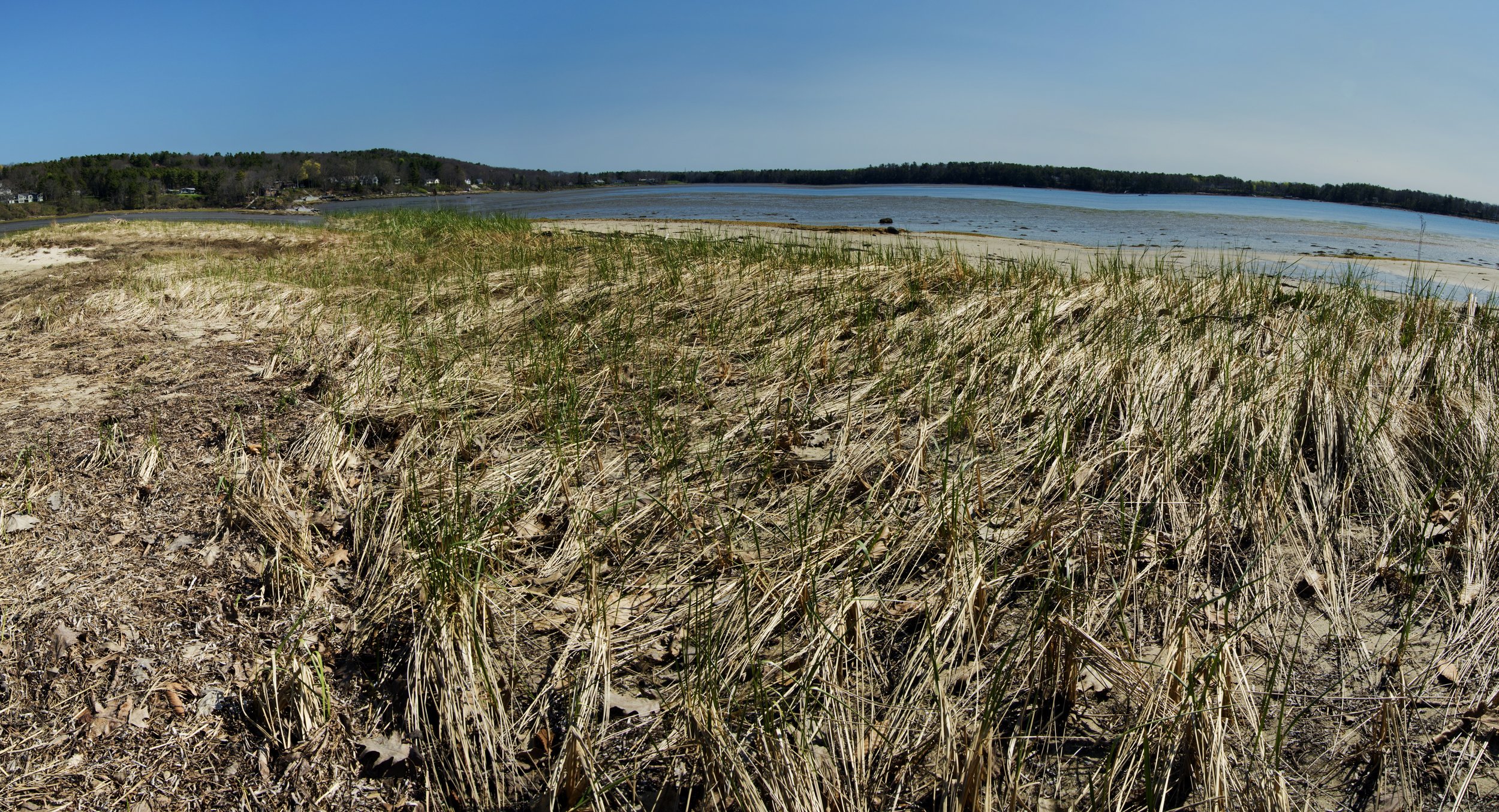 Broad Cove Reserve/Spears Hill Trail — Chebeague & Cumberland Land Trust