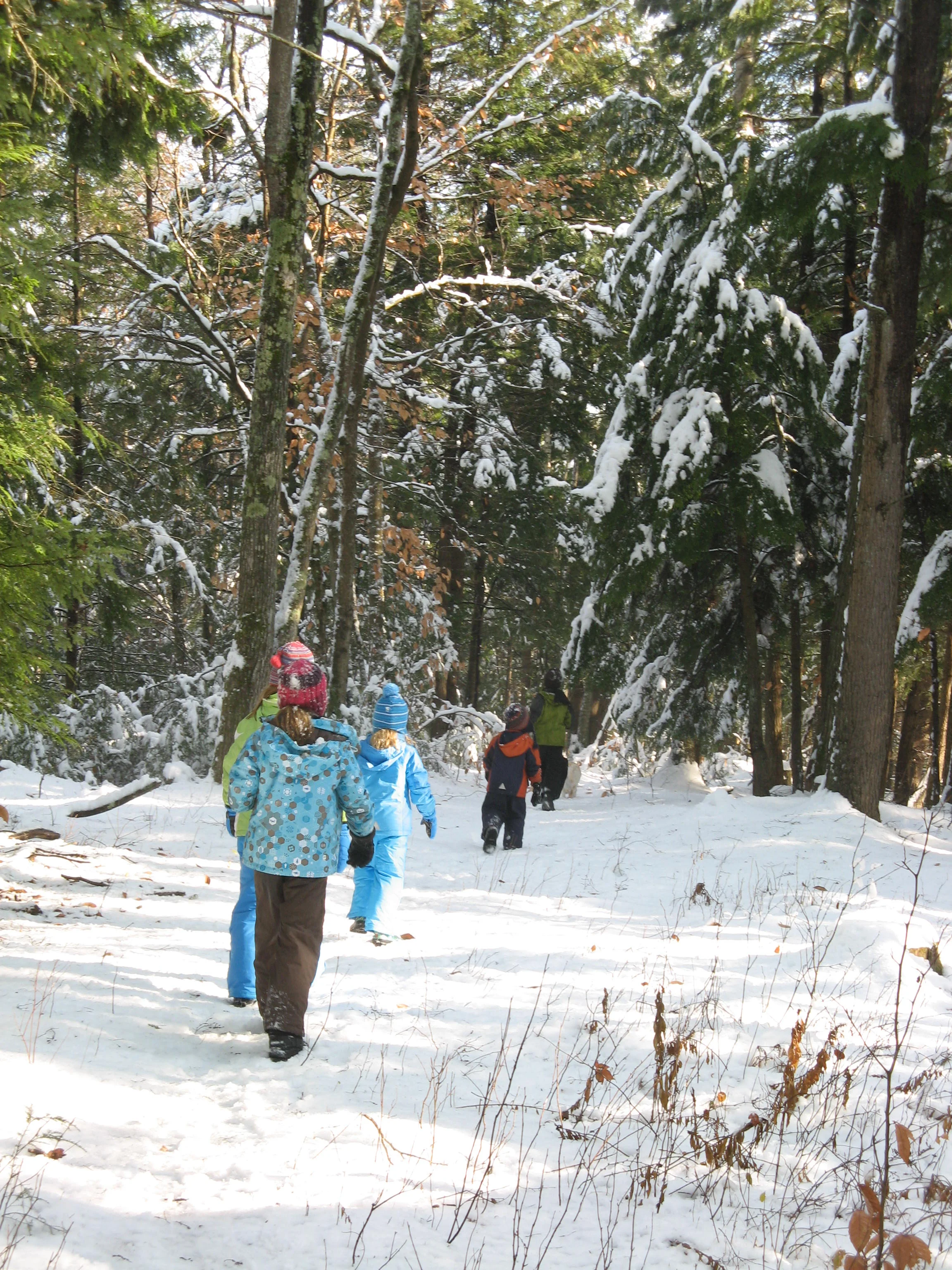 Rines Forest — Chebeague & Cumberland Land Trust