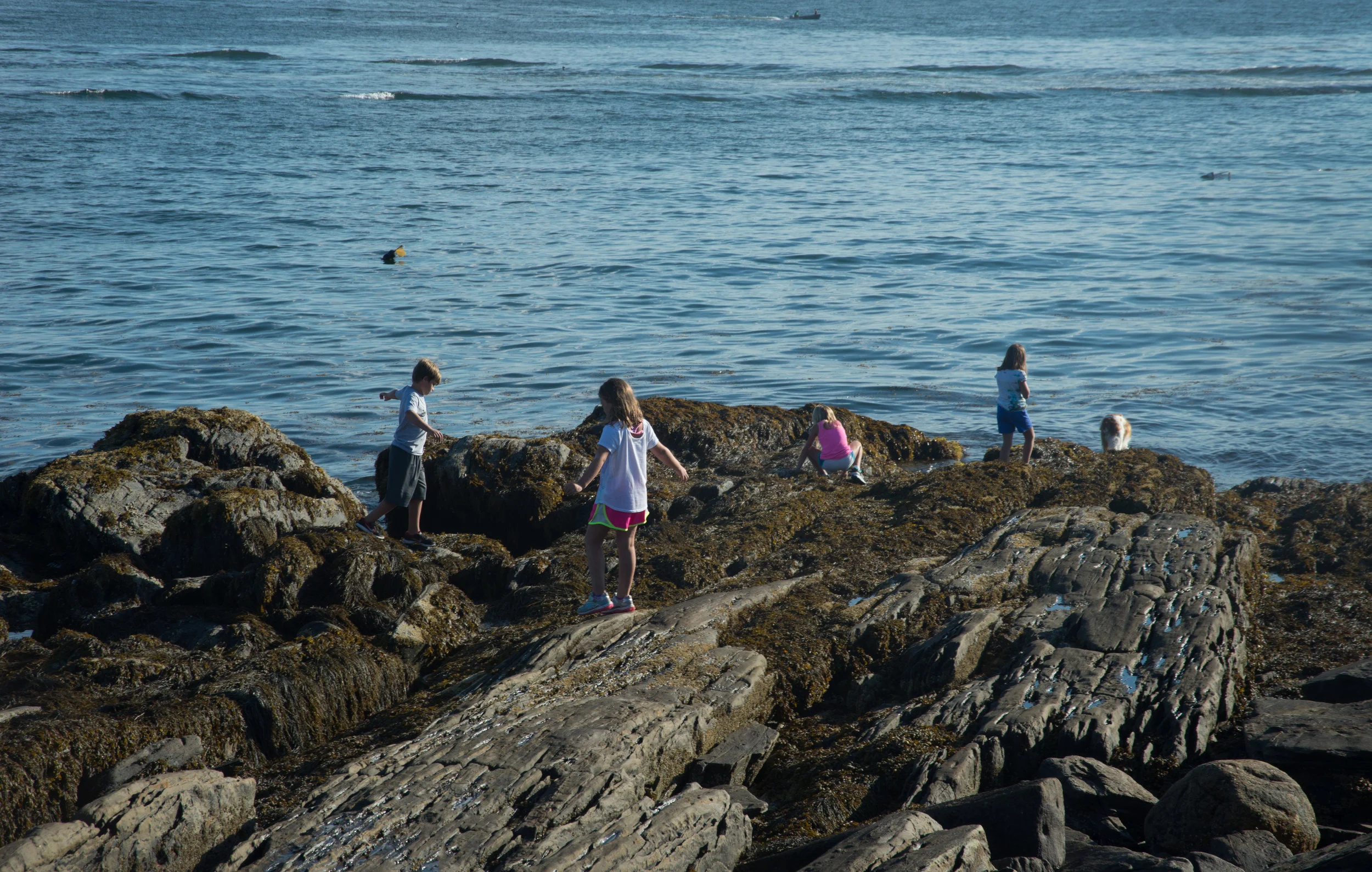 Deer Point — Chebeague & Cumberland Land Trust