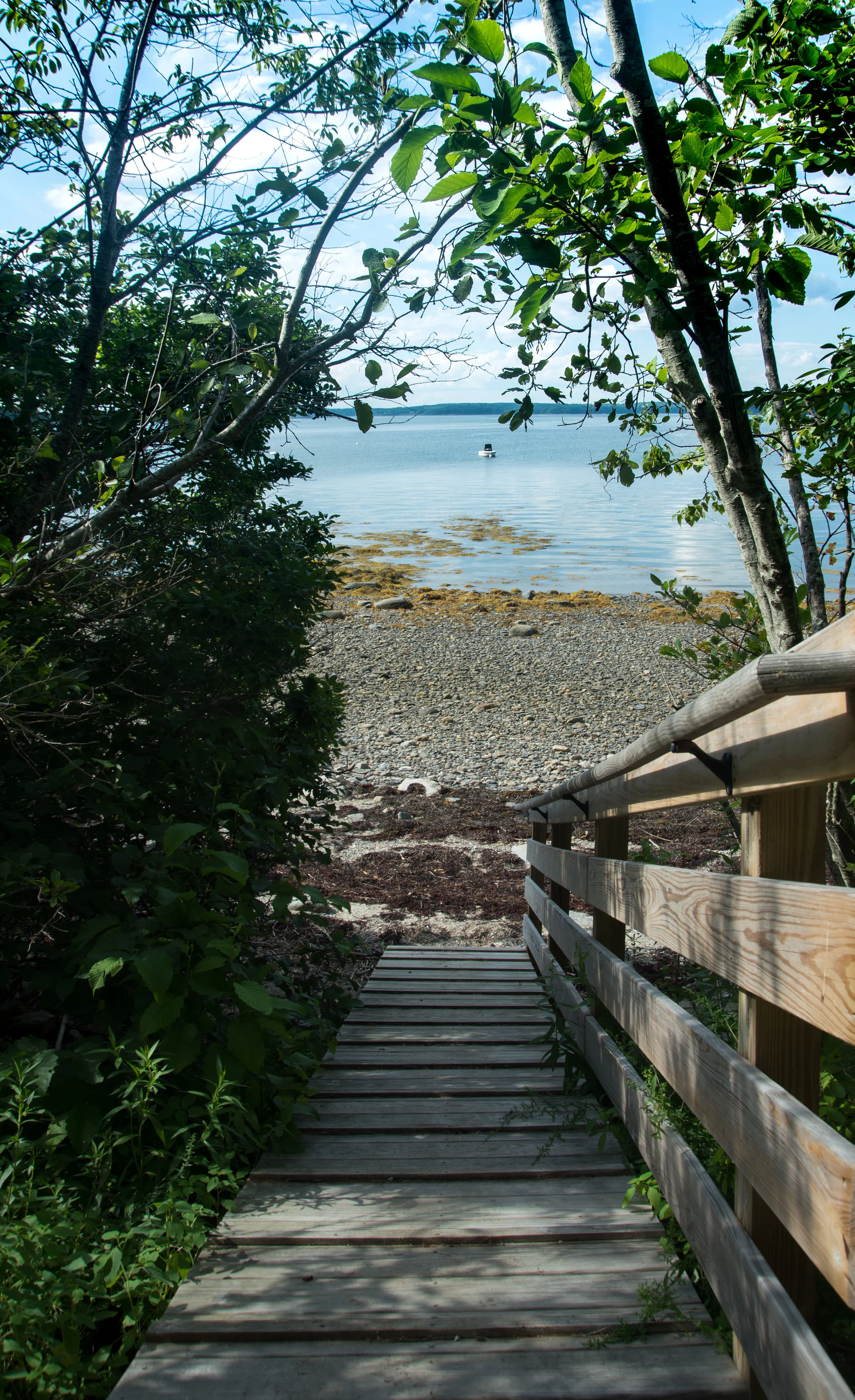 Gray Path — Chebeague & Cumberland Land Trust