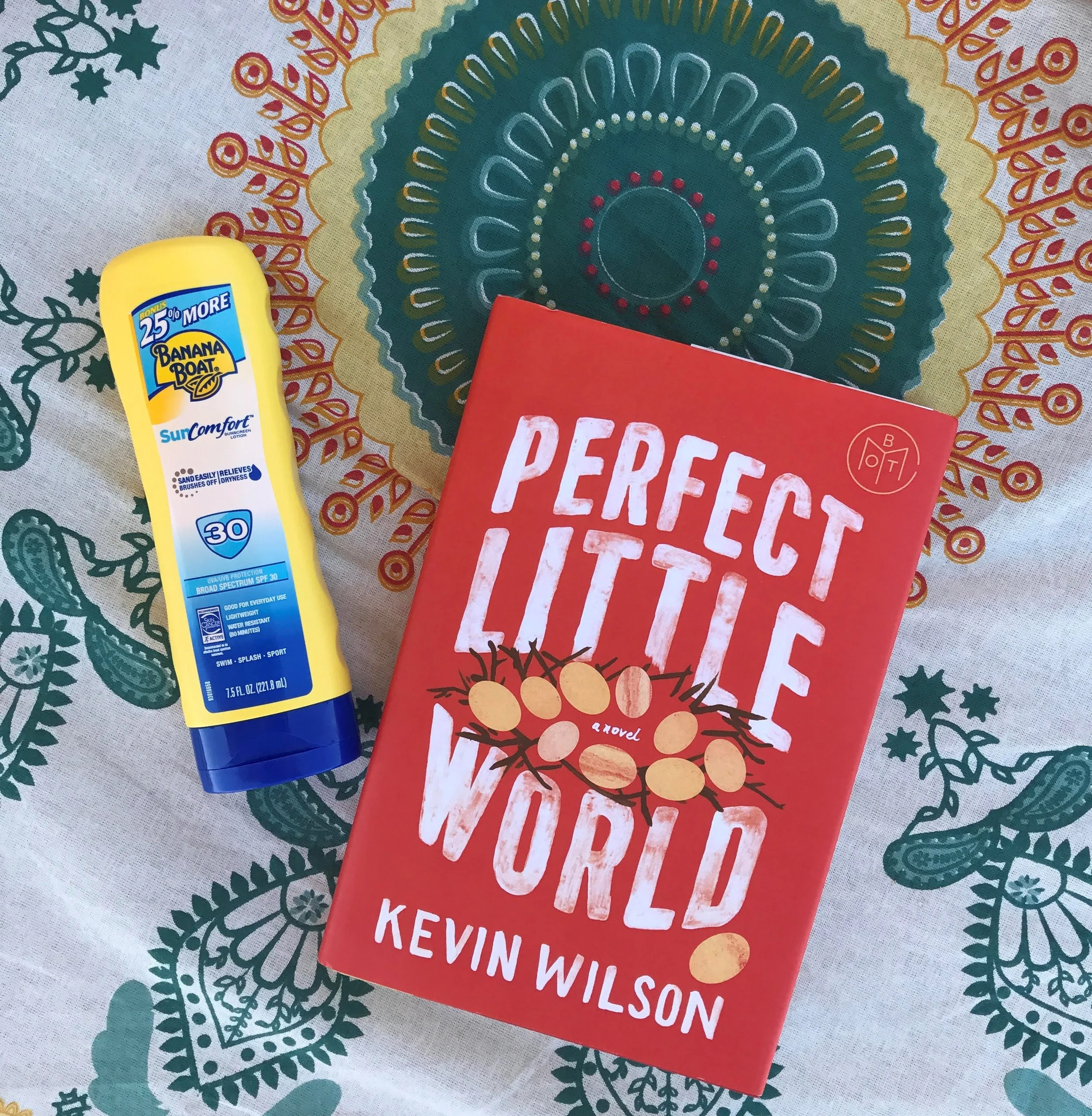 Perfect Little World - Book Review - Hasty Book List