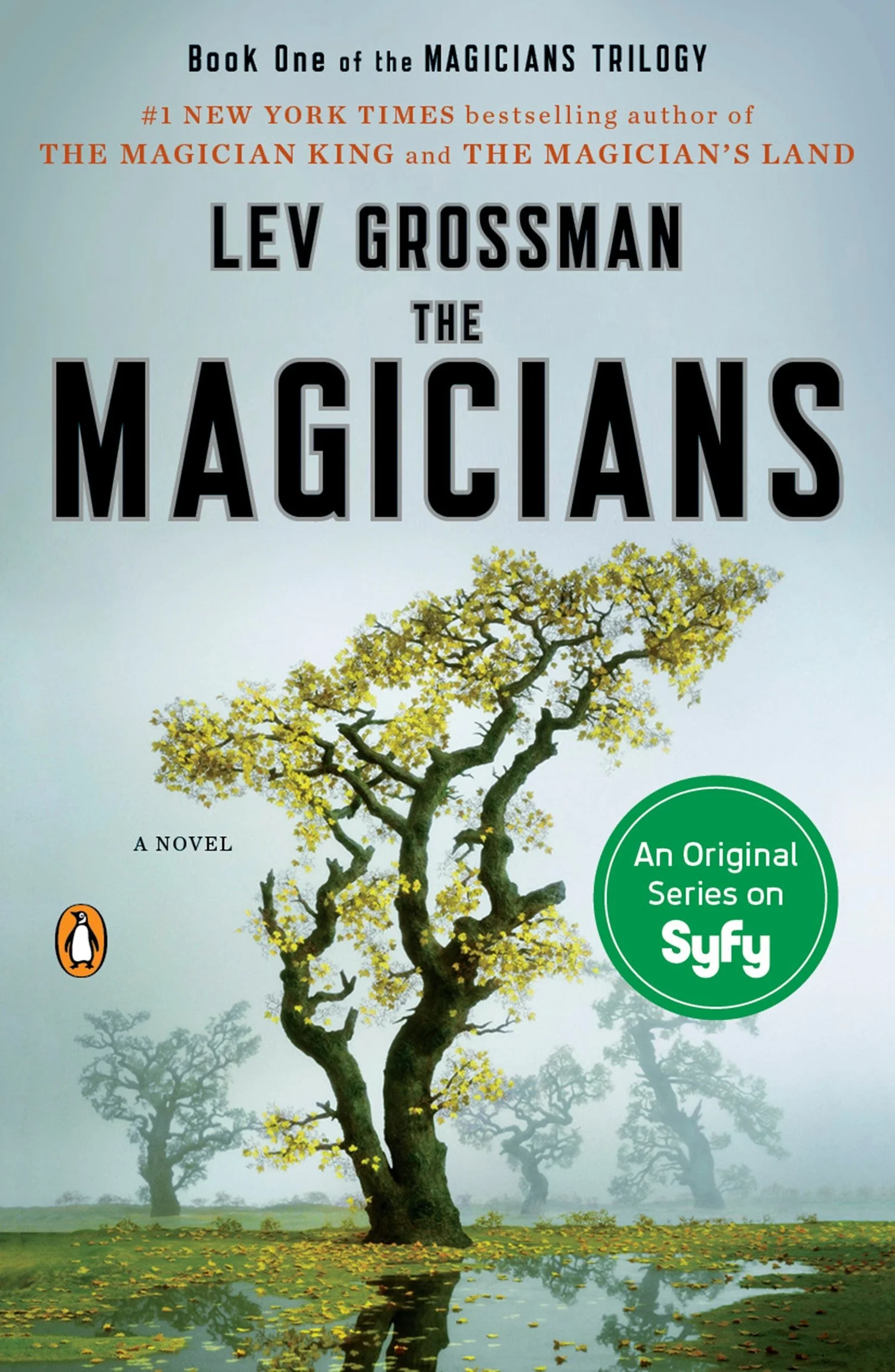 20 Best Book To TV Adaptations