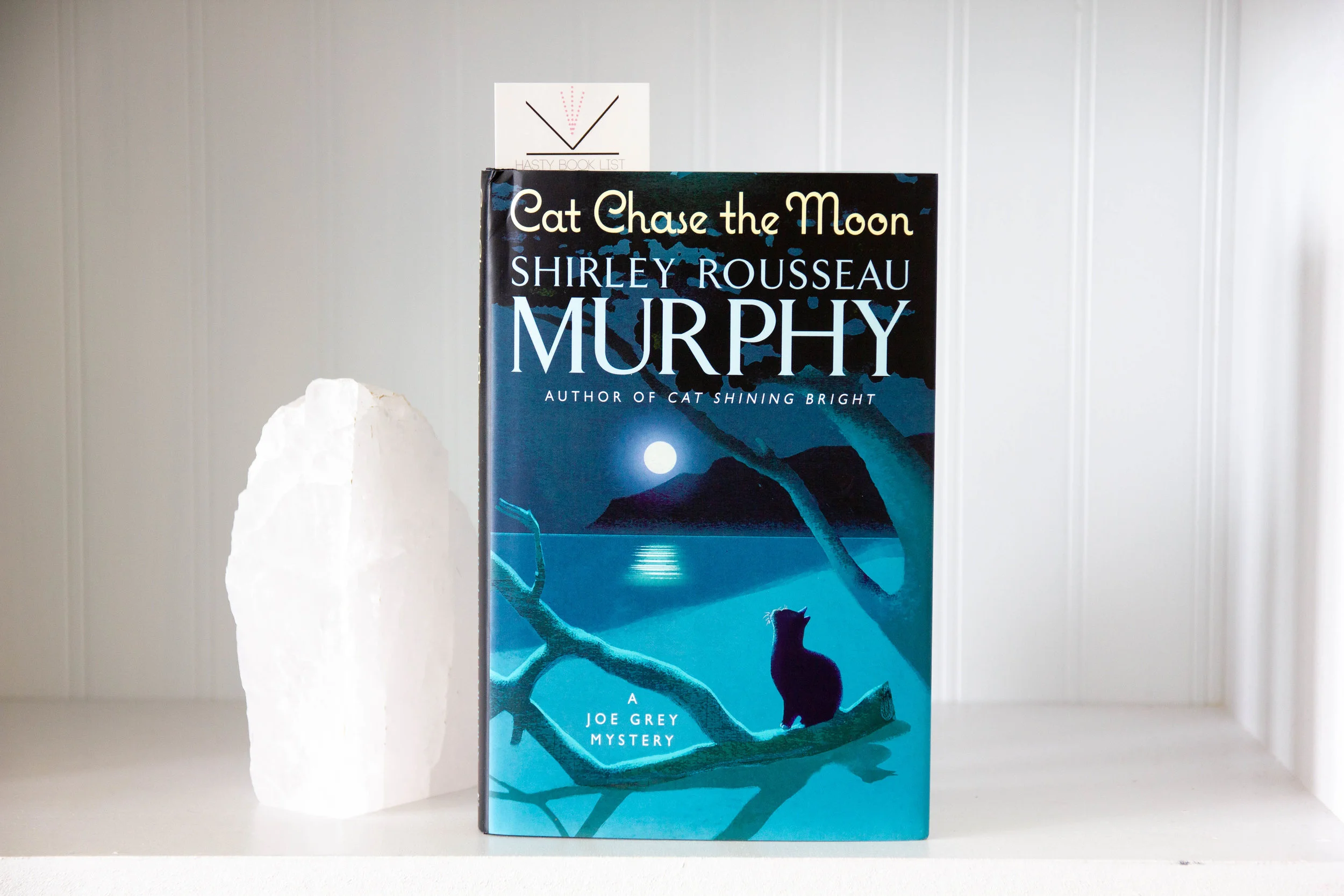 Cat Chase the Moon - Book Review - Hasty Book List