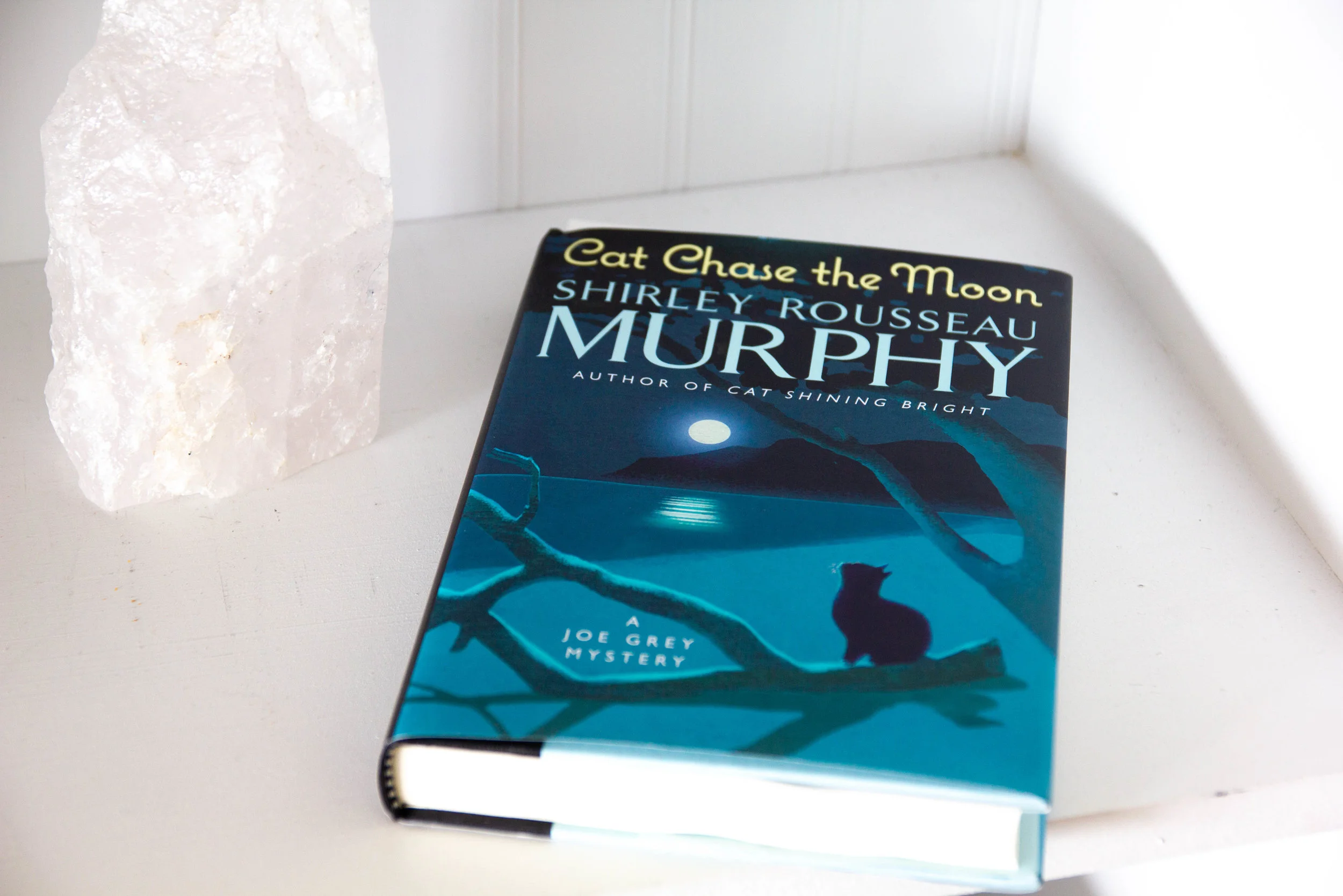 Cat Chase the Moon - Book Review - Hasty Book List
