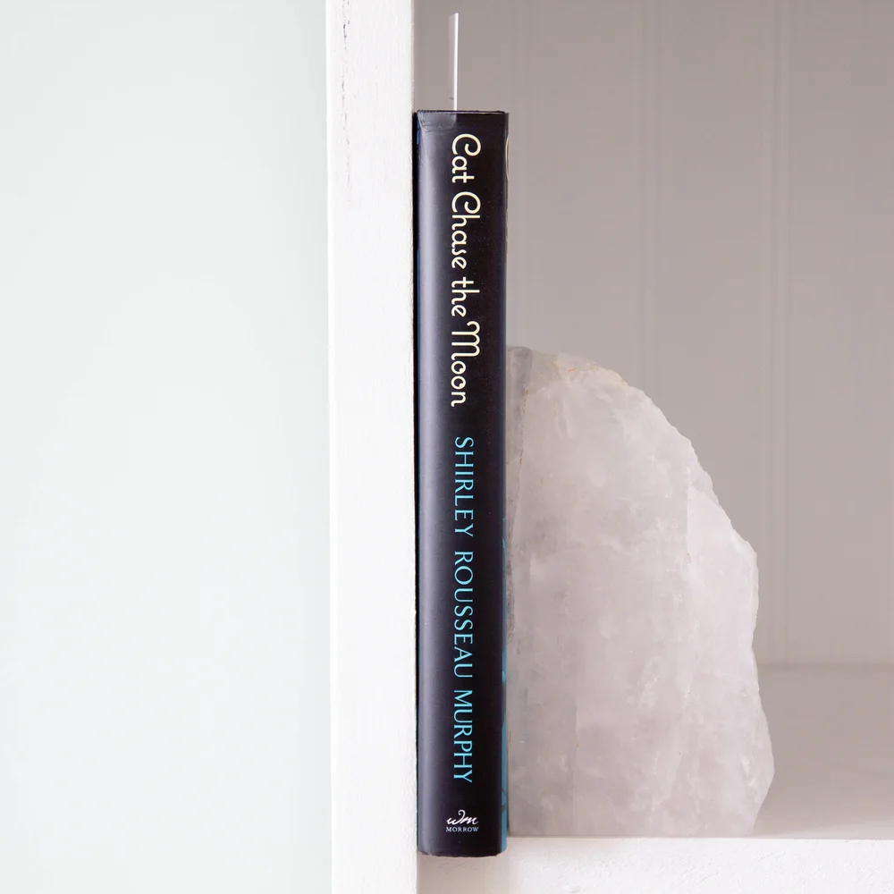 Cat Chase the Moon - Book Review - Hasty Book List