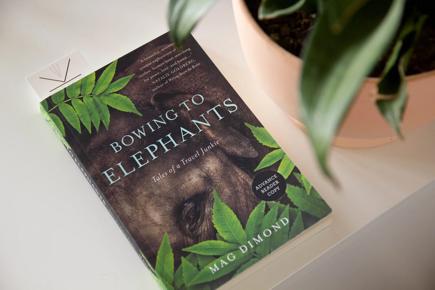 Bowing to Elephants - Book Review - Hasty Book List