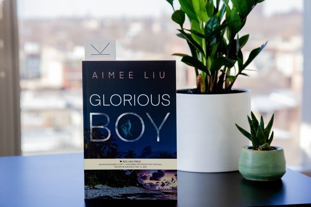 Glorious Boy - Book Review - Hasty Book List