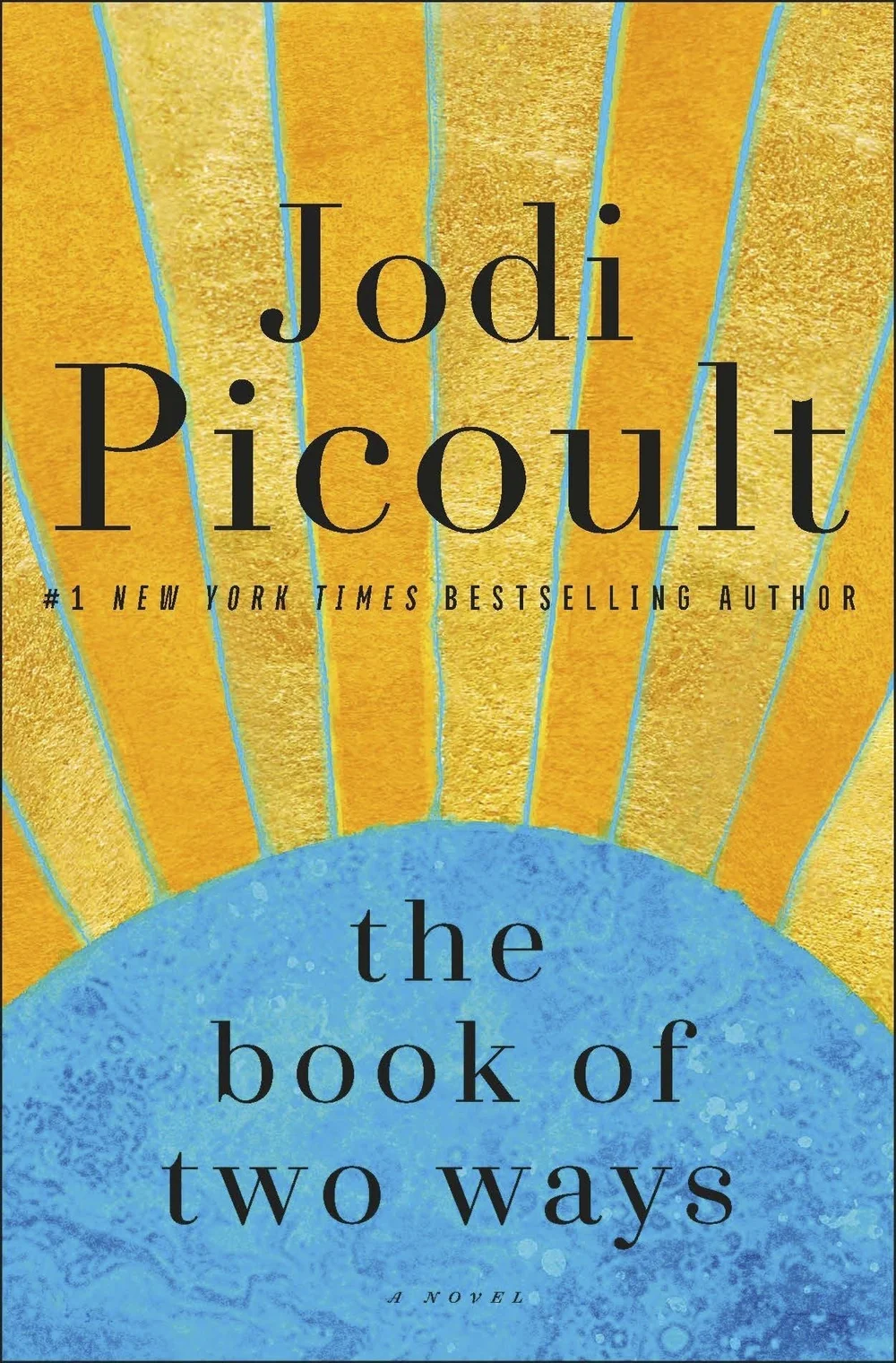 Best Jodi Picoult Books