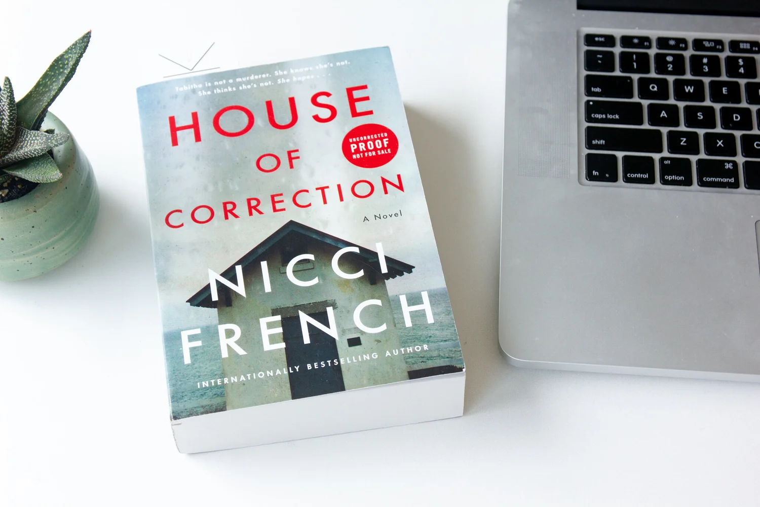 Book Feature - House of Correction by Nicci French