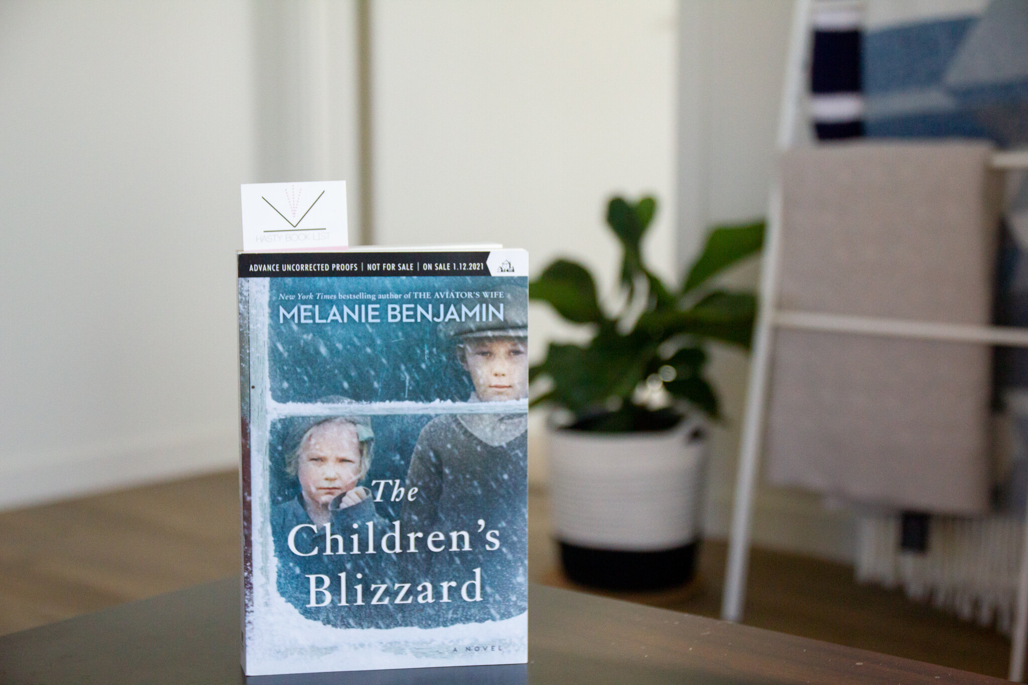 The Children's Blizzard by Melanie Benjamin
