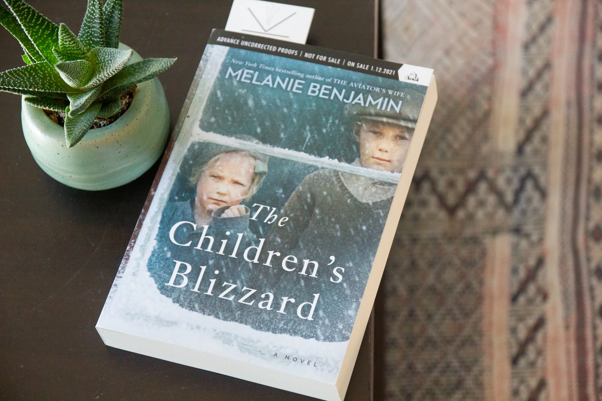 The Children's Blizzard by Melanie Benjamin - Book Review - Hasty Book List