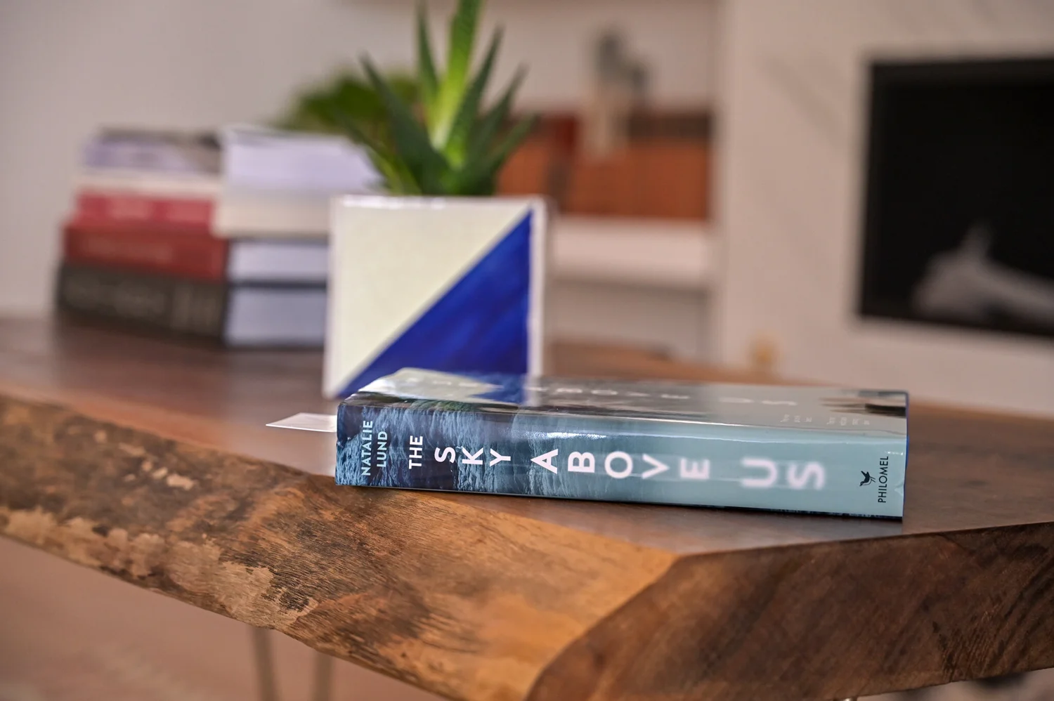 Book Feature - The Sky Above Us by Natalie Lund