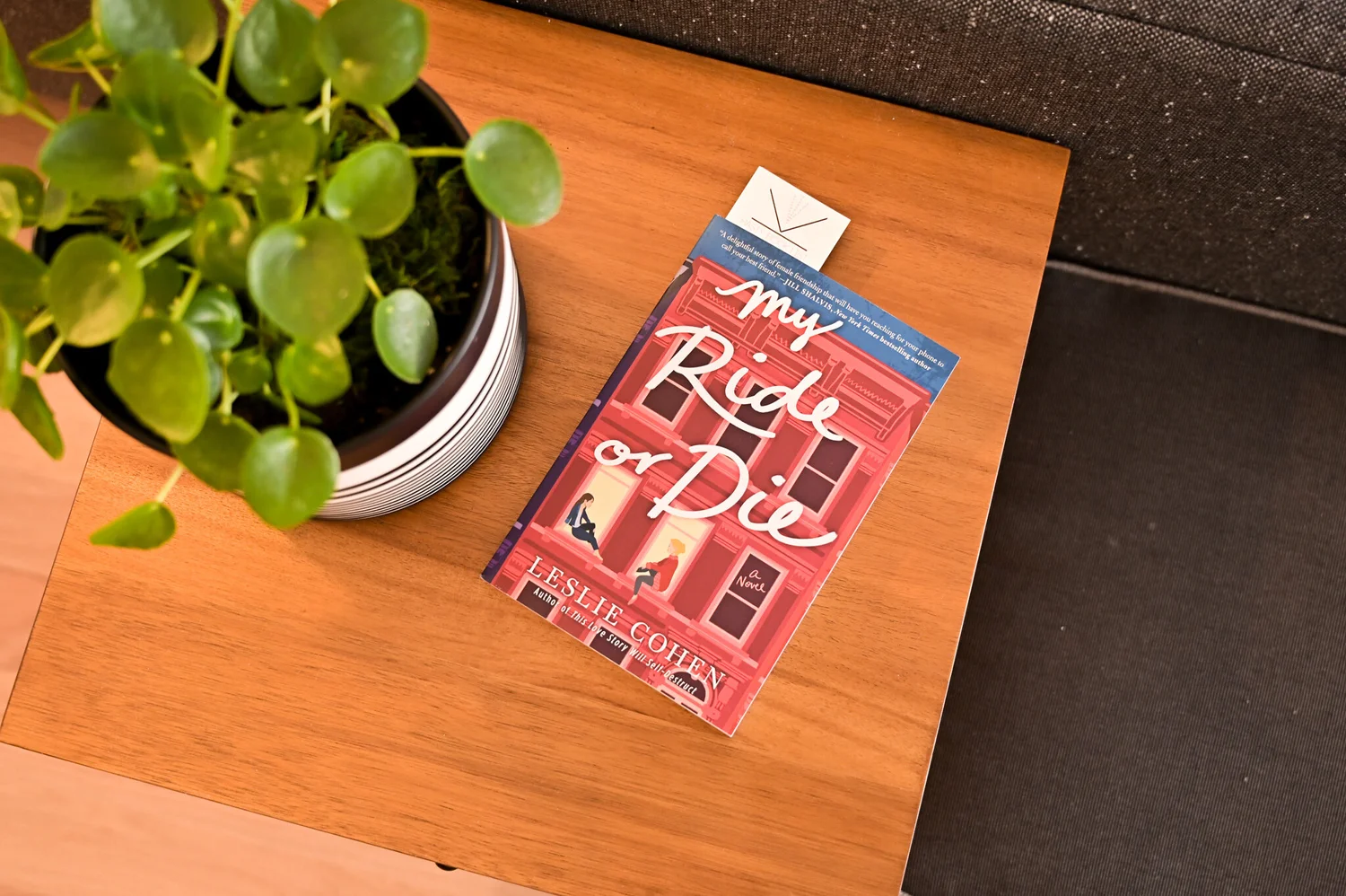 Book Feature - My Ride or Die by Leslie Cohen - Book Review - Hasty ...