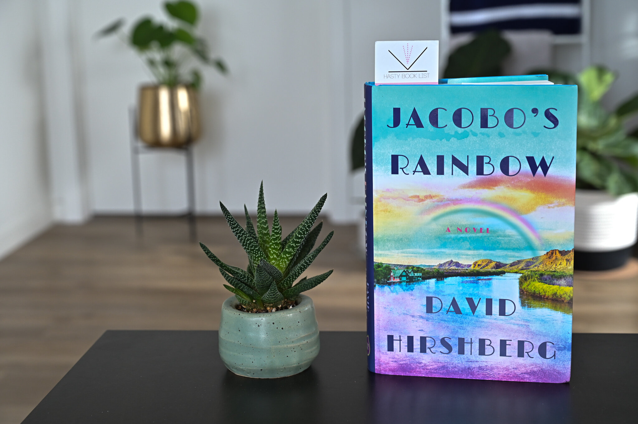 Book Feature - Jacobo's Rainbow by David Hirshberg