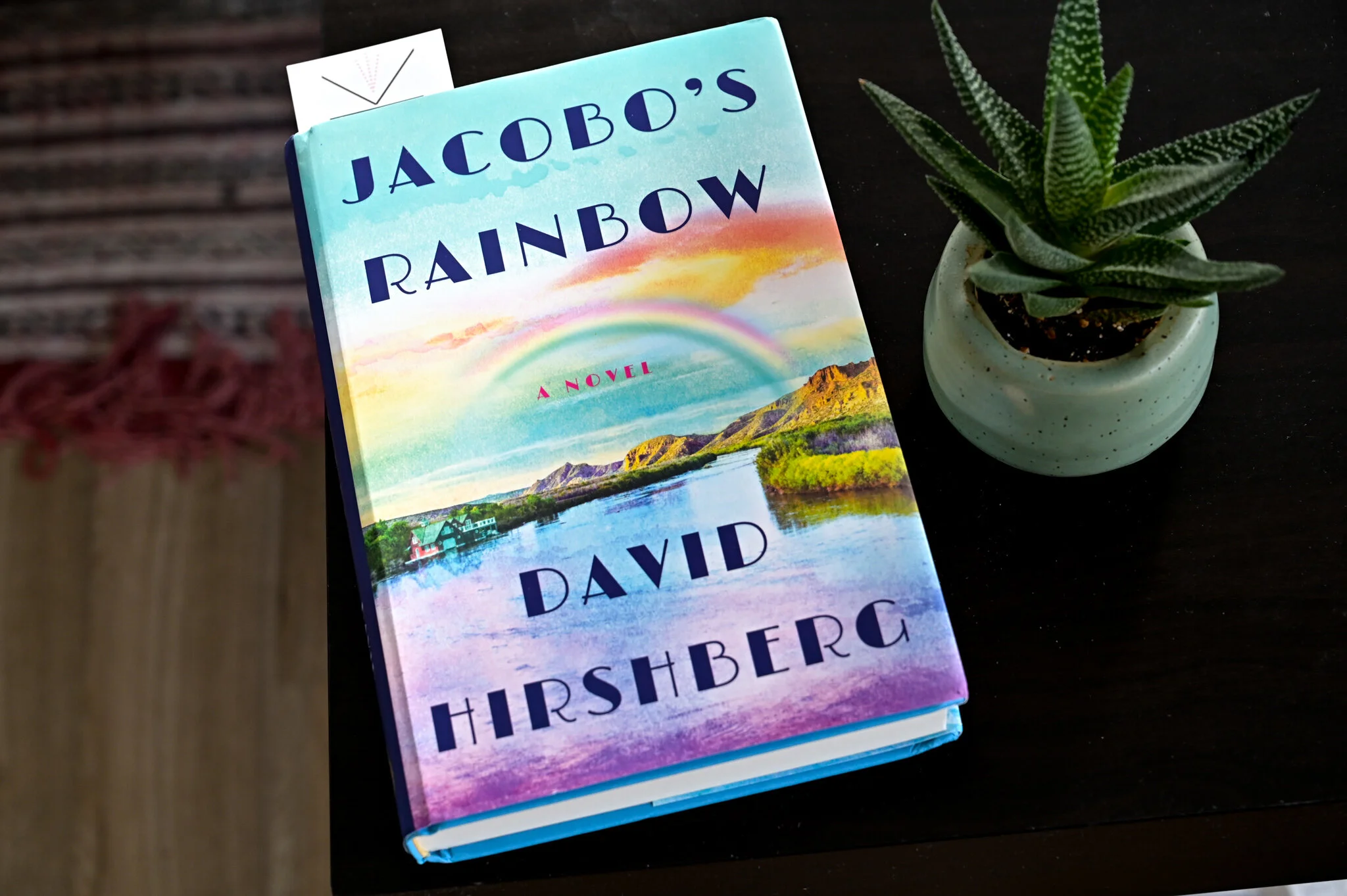 Book Feature - Jacobo's Rainbow by David Hirshberg