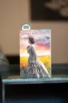 Author Interview with Debra Borchert