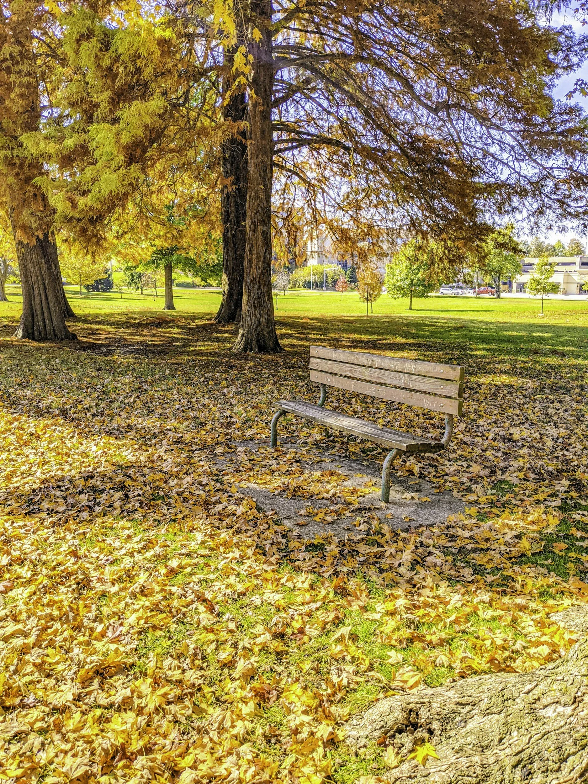 Best Places To Read