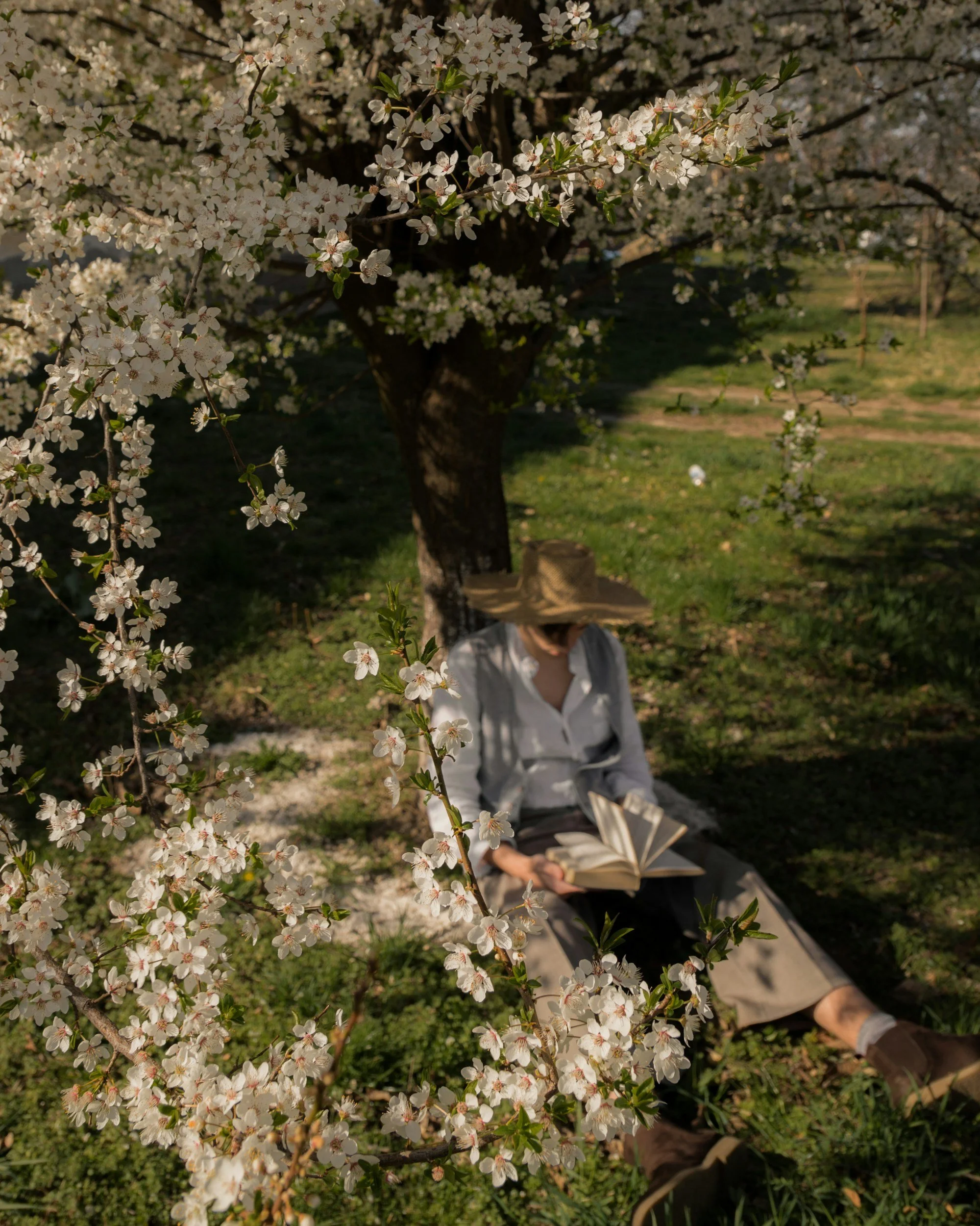 Best Places To Read
