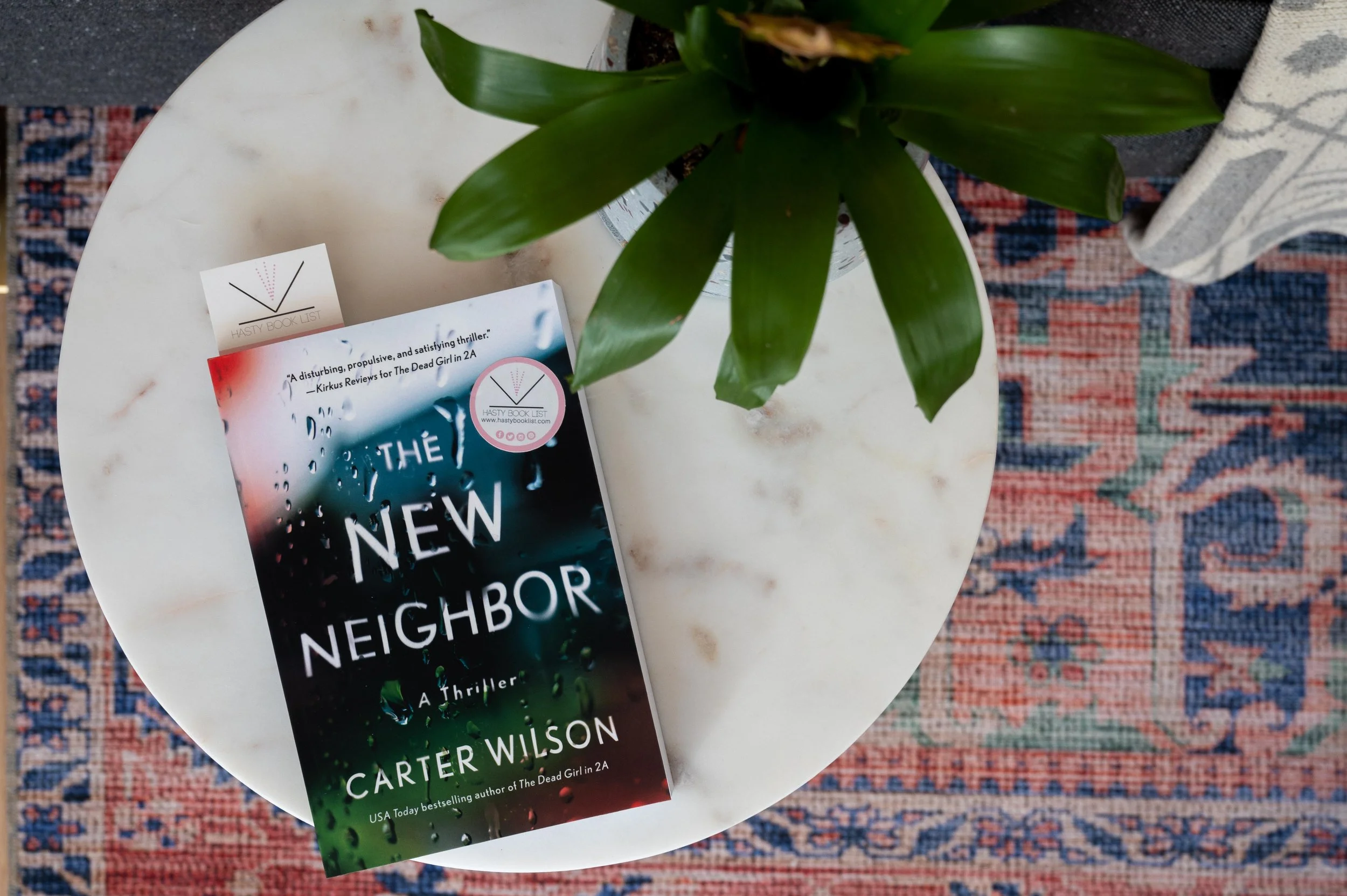 Book Feature - The New Neighbor by Carter Wilson