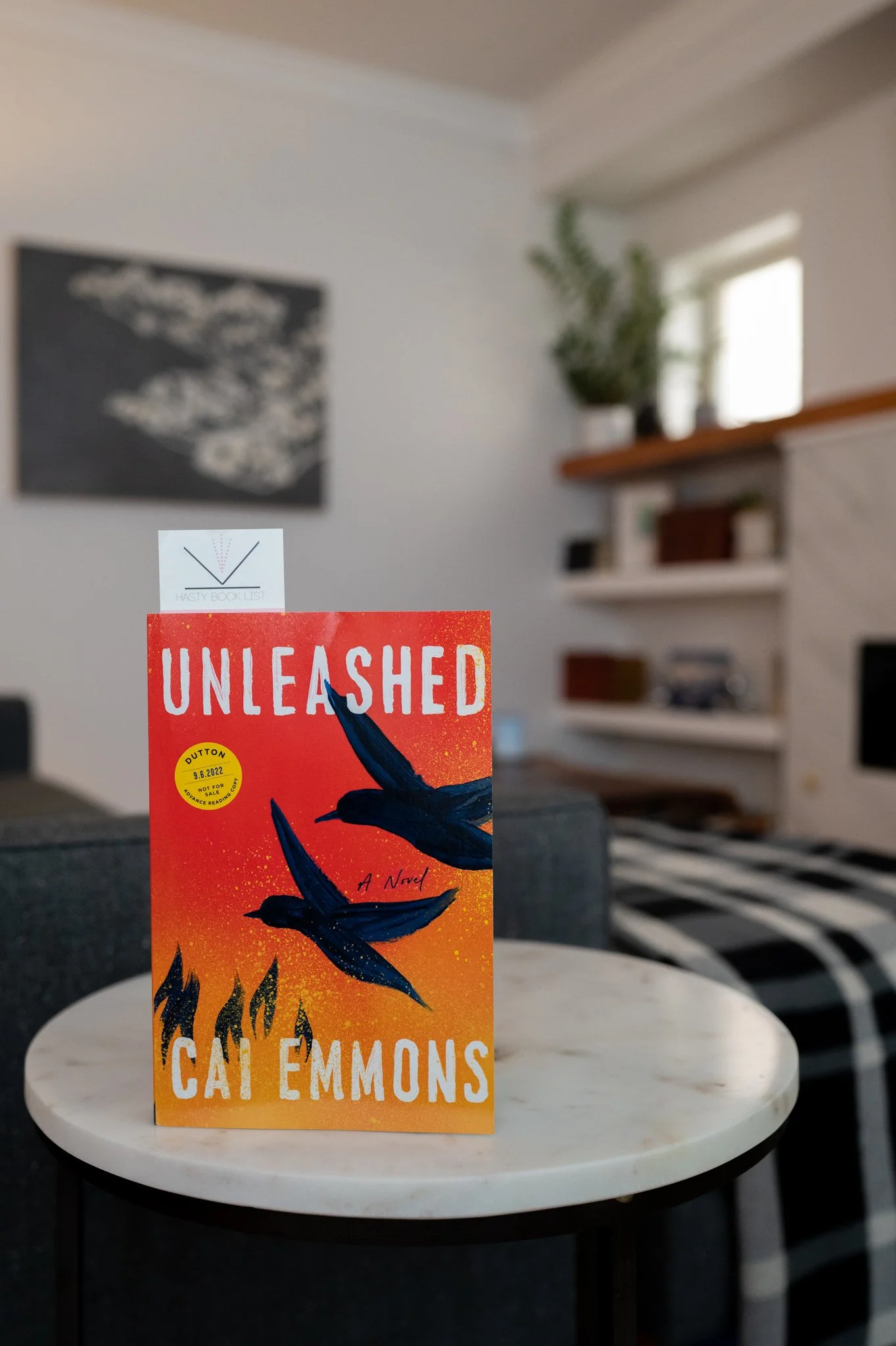 Book Feature - Unleashed by Cai Emmons