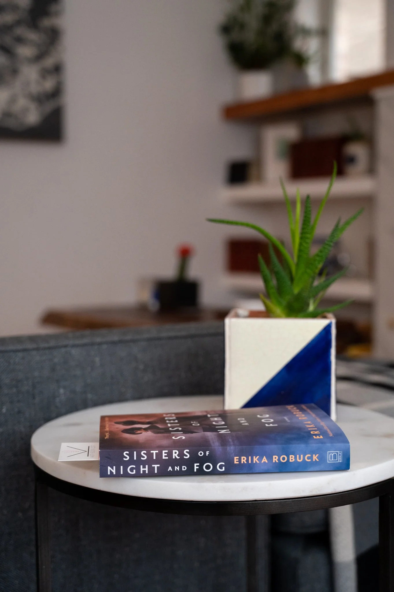 Book Feature - Sisters of Night and Fog by Erika Robuck