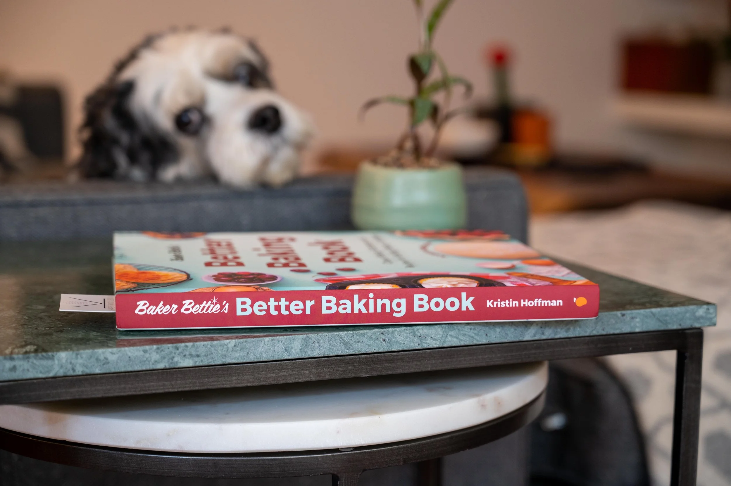 Baker Bettie’s Better Baking Book by Kristin Hoffman