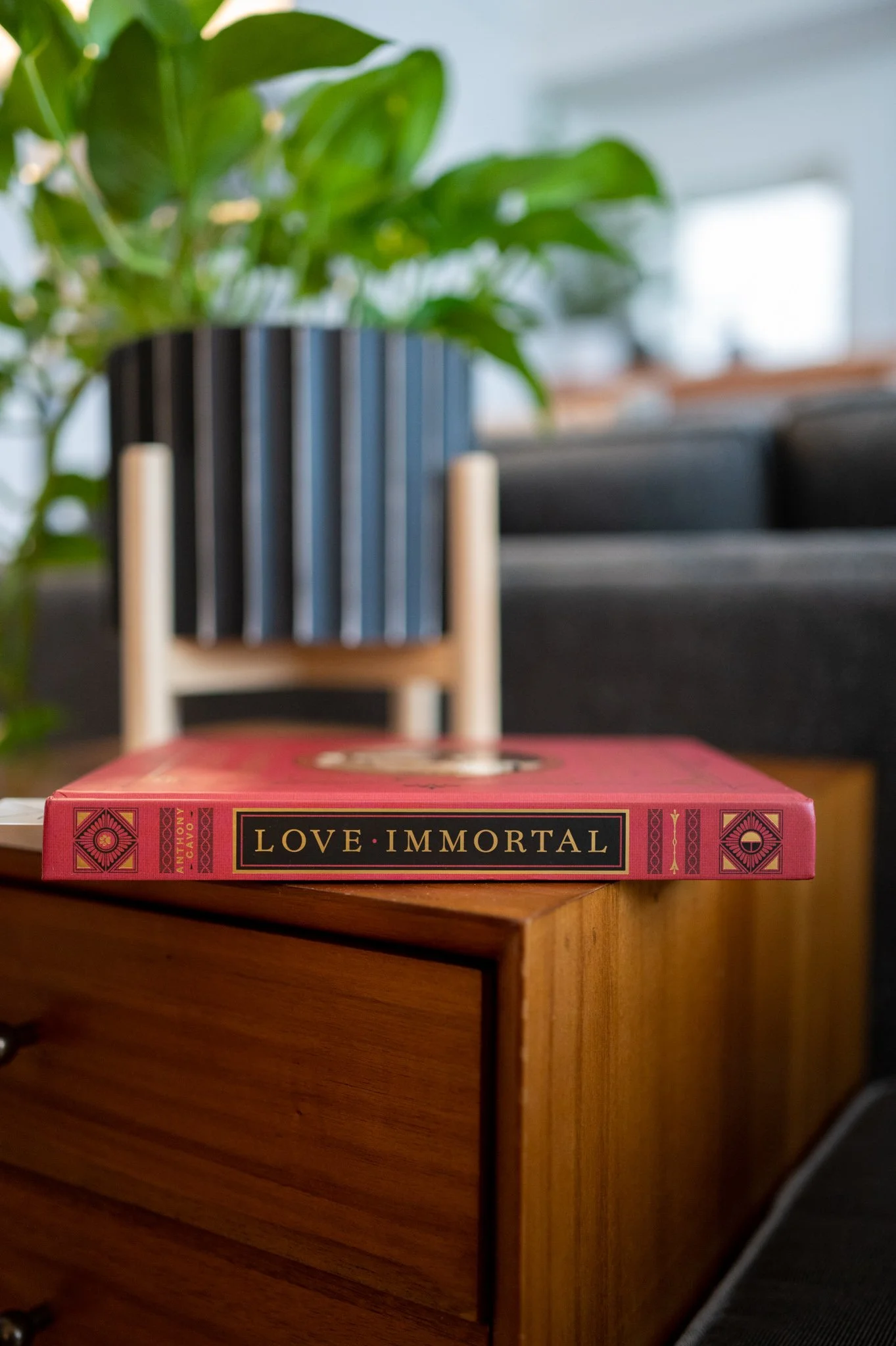 Book Feature - Love Immortal by Anthony Cavo